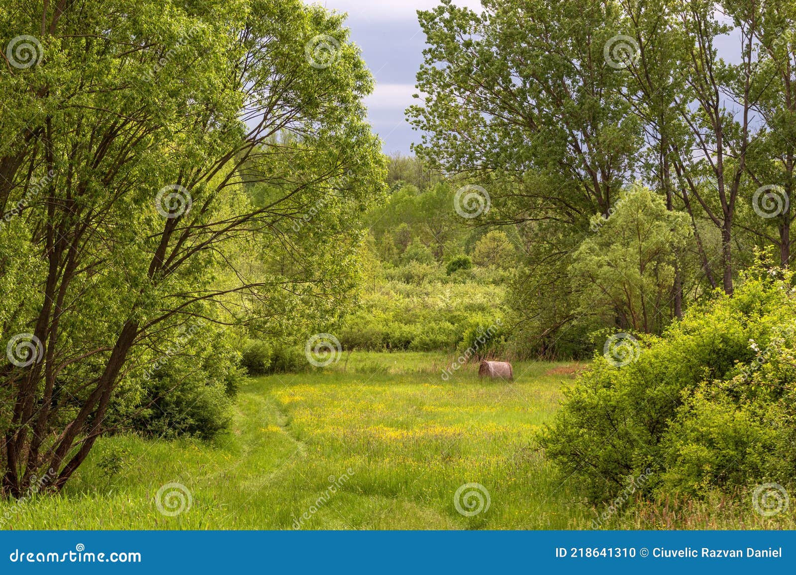 A Beautiful Place Full of Greenery in the Countryside Wallpaper Stock ...