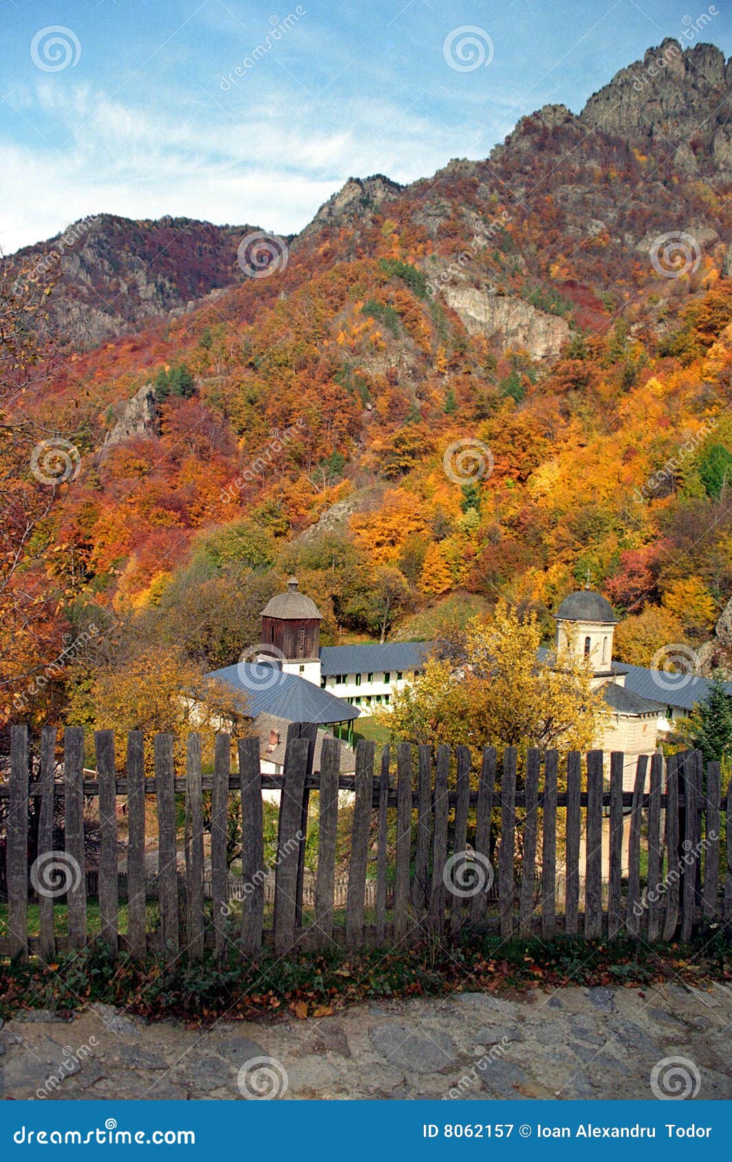 Place of peace stock image. Image of trees, stanisoara - 8062157