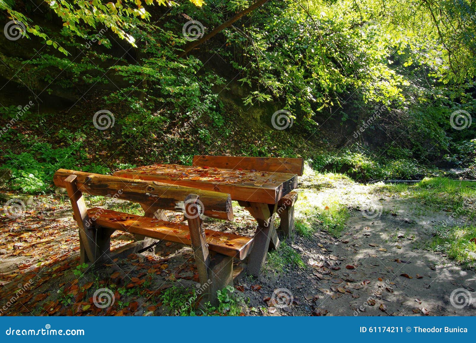 Colored Autumn Landscape. Wooden Table and Benches. Place of Picnic in ...