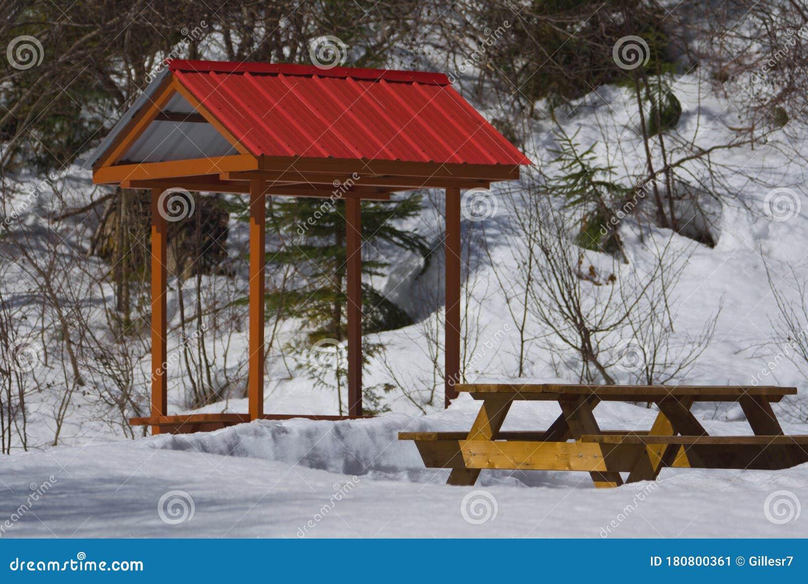 Place for Picnic in a Park Awaiting Spring Stock Image - Image of ...