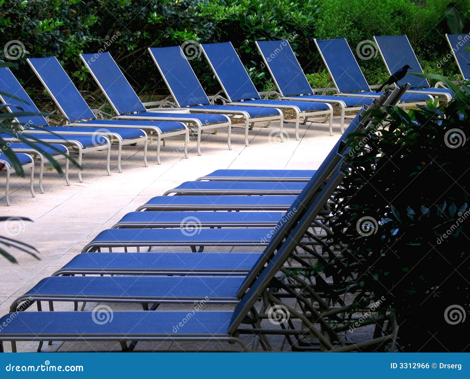 Place For Sunbathing Picture. Image: 3312966