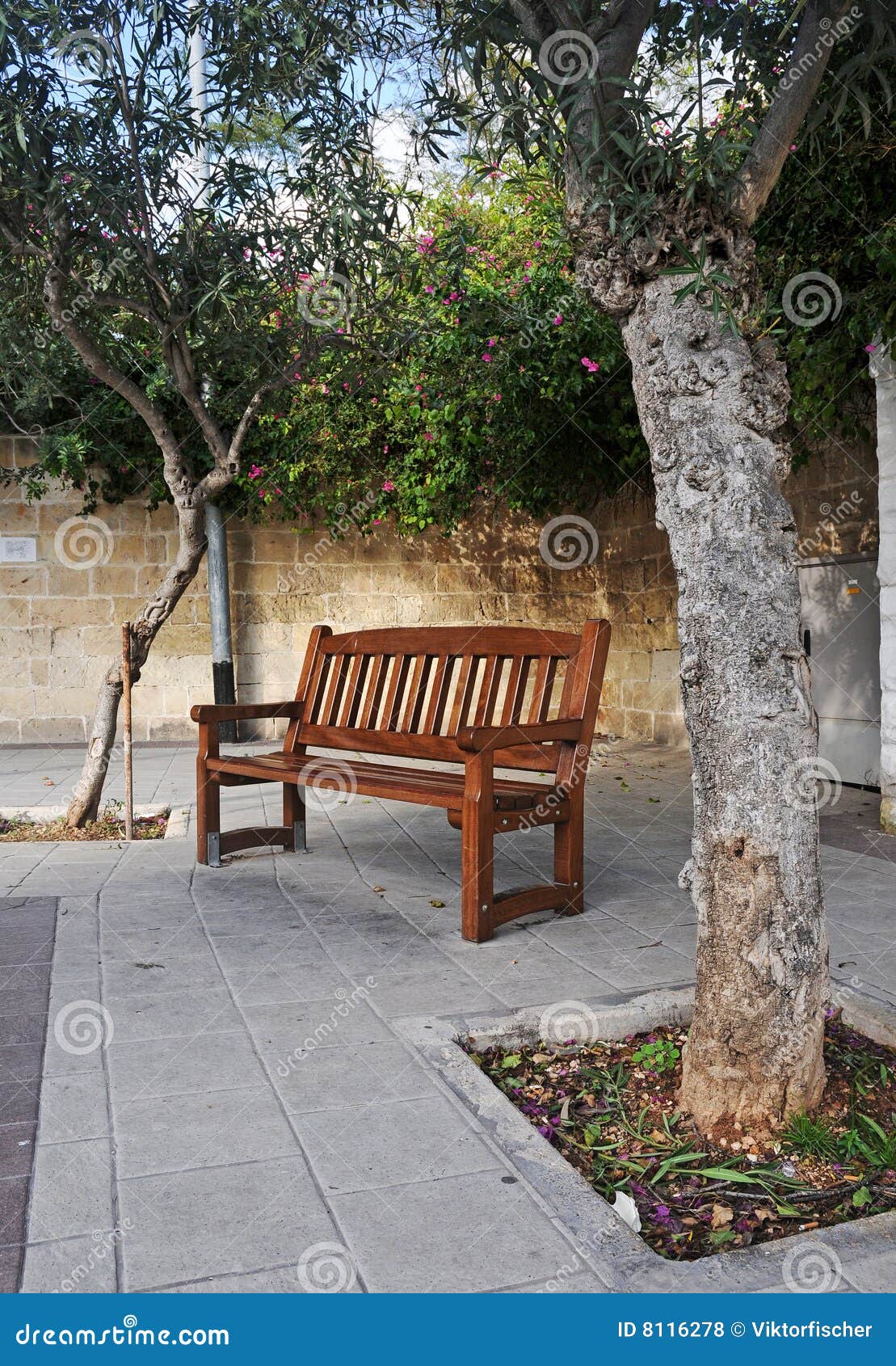 Place to rest stock photo. Image of flowering, empty, outdoors - 8116278