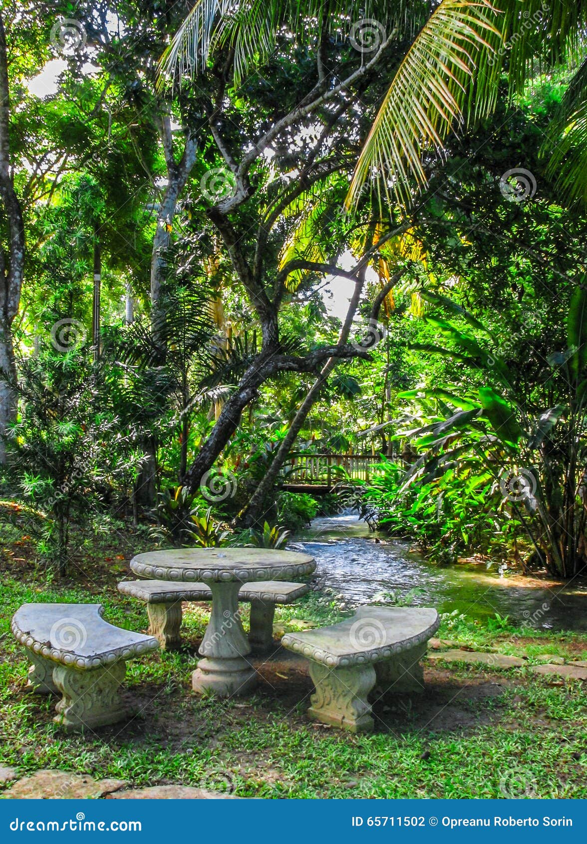 A Place To Rest in the Jungle Stock Photo - Image of holiday, exercise ...