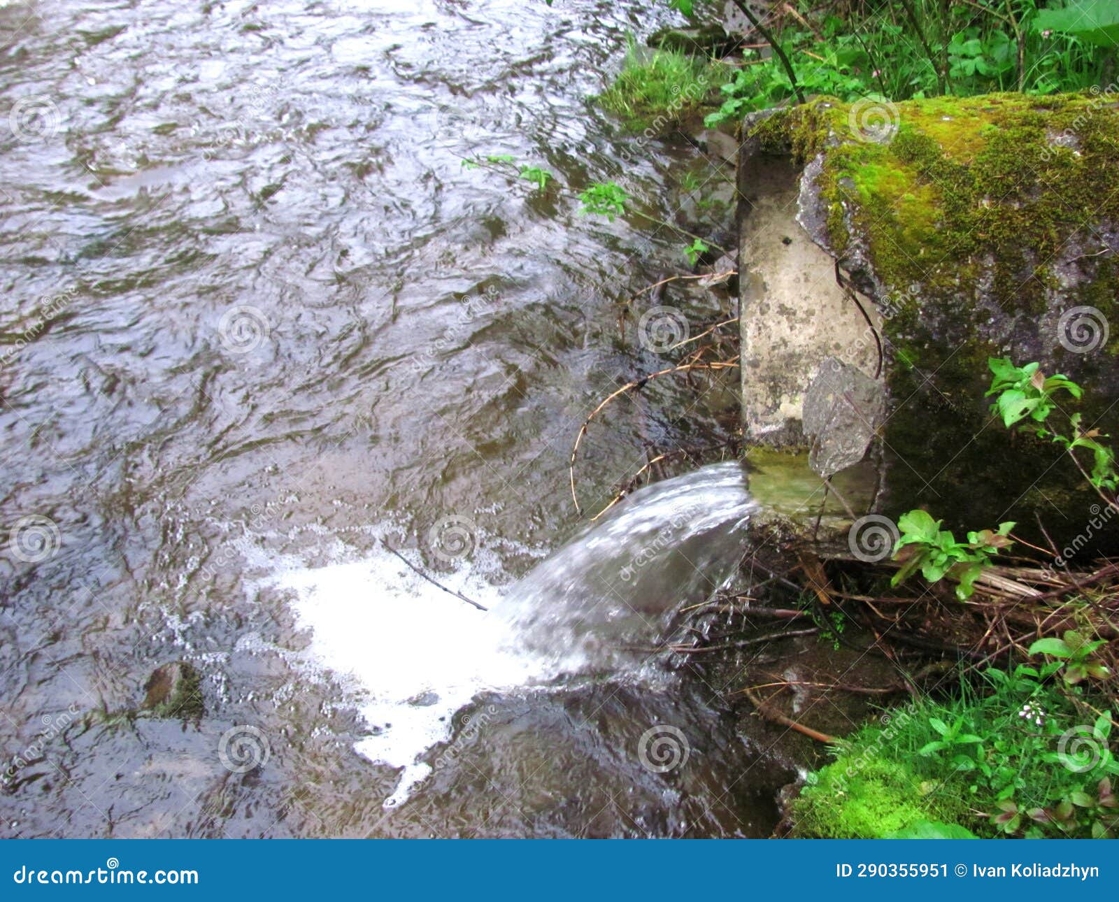 The Place Where the Stream Flows into the River Stock Image - Image of ...