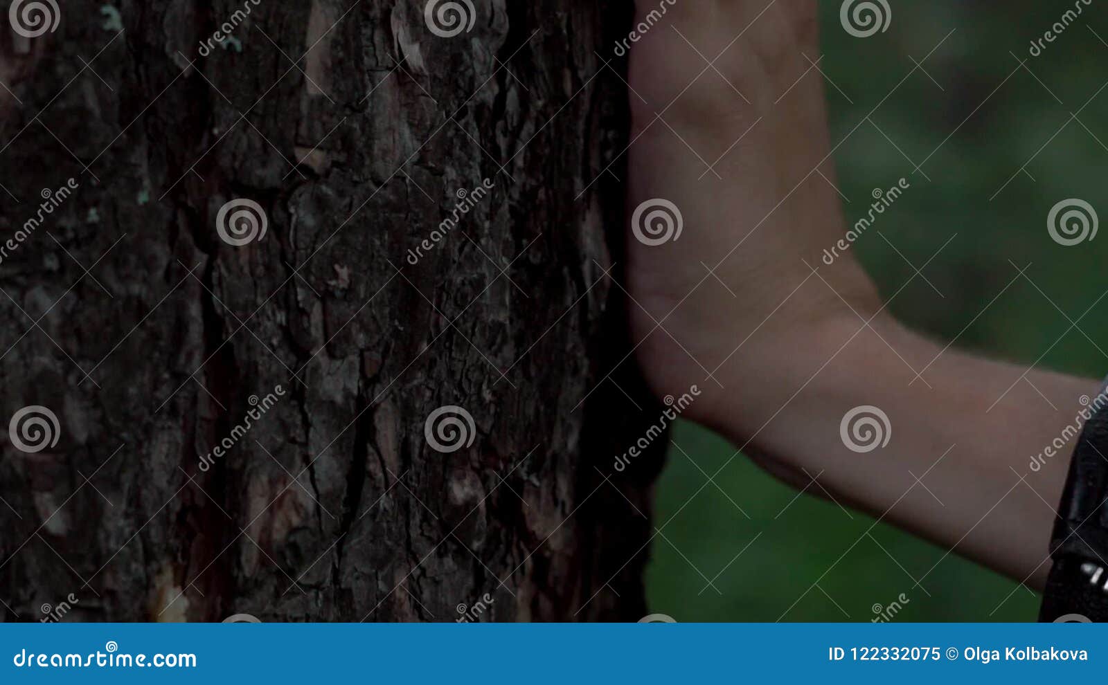 The hand on the tree stock video. Video of conservation - 122332075