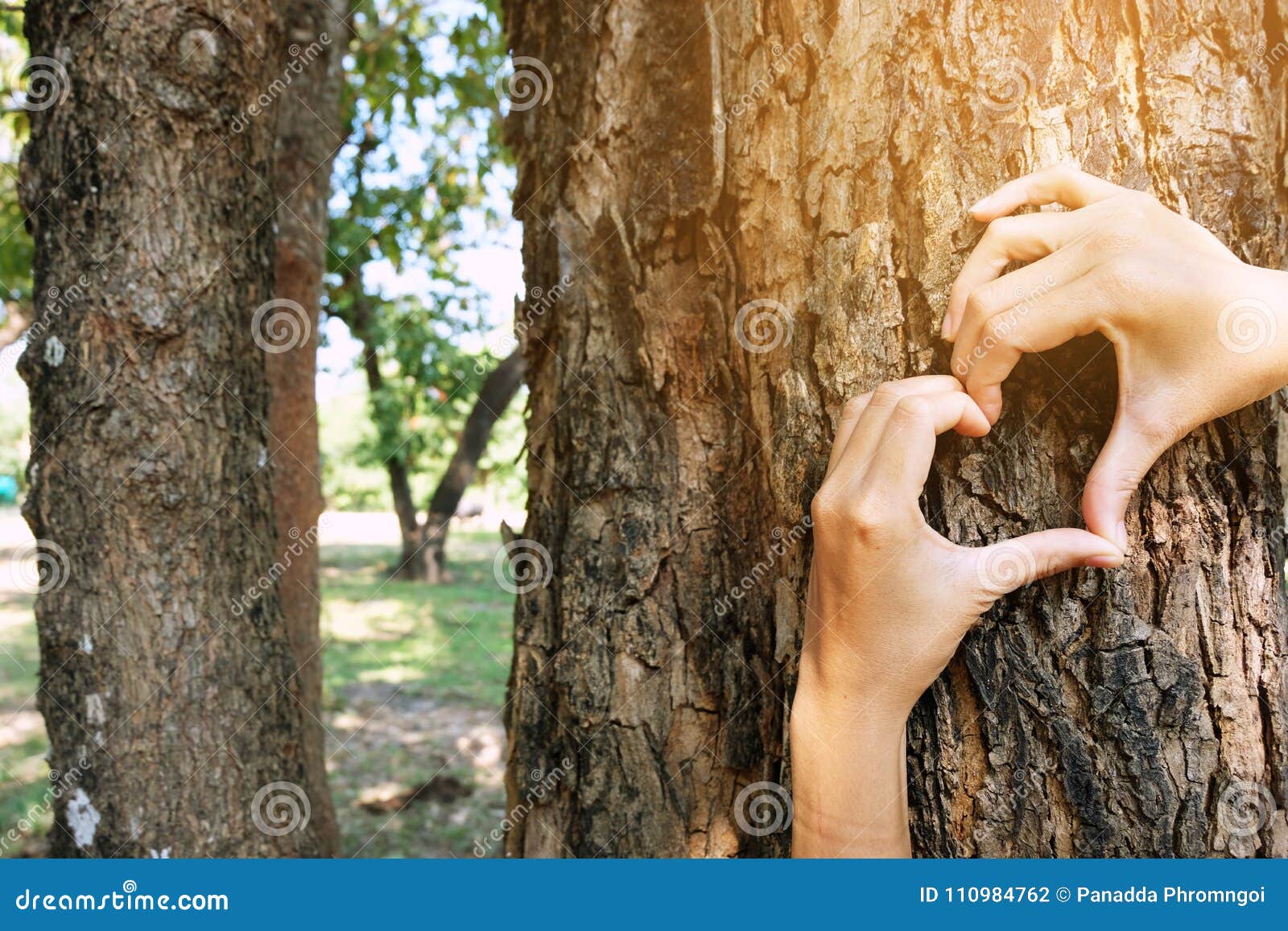 Placed on the Trunk of a Big Tree with Fingers Extended, Symbolizing ...