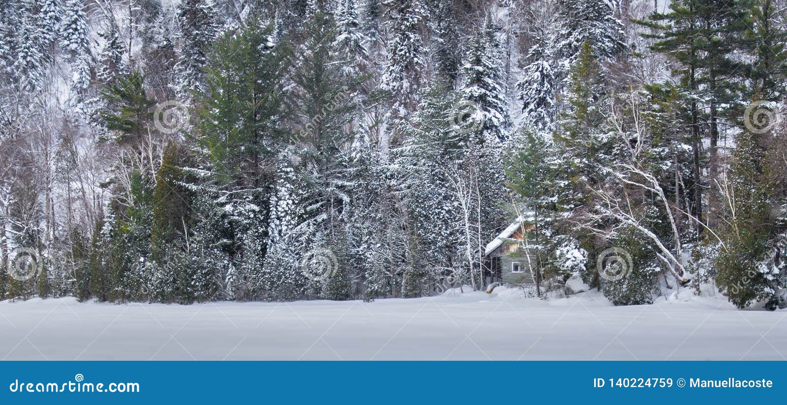 A Peaceful Place in the Snow Stock Image - Image of february, home ...