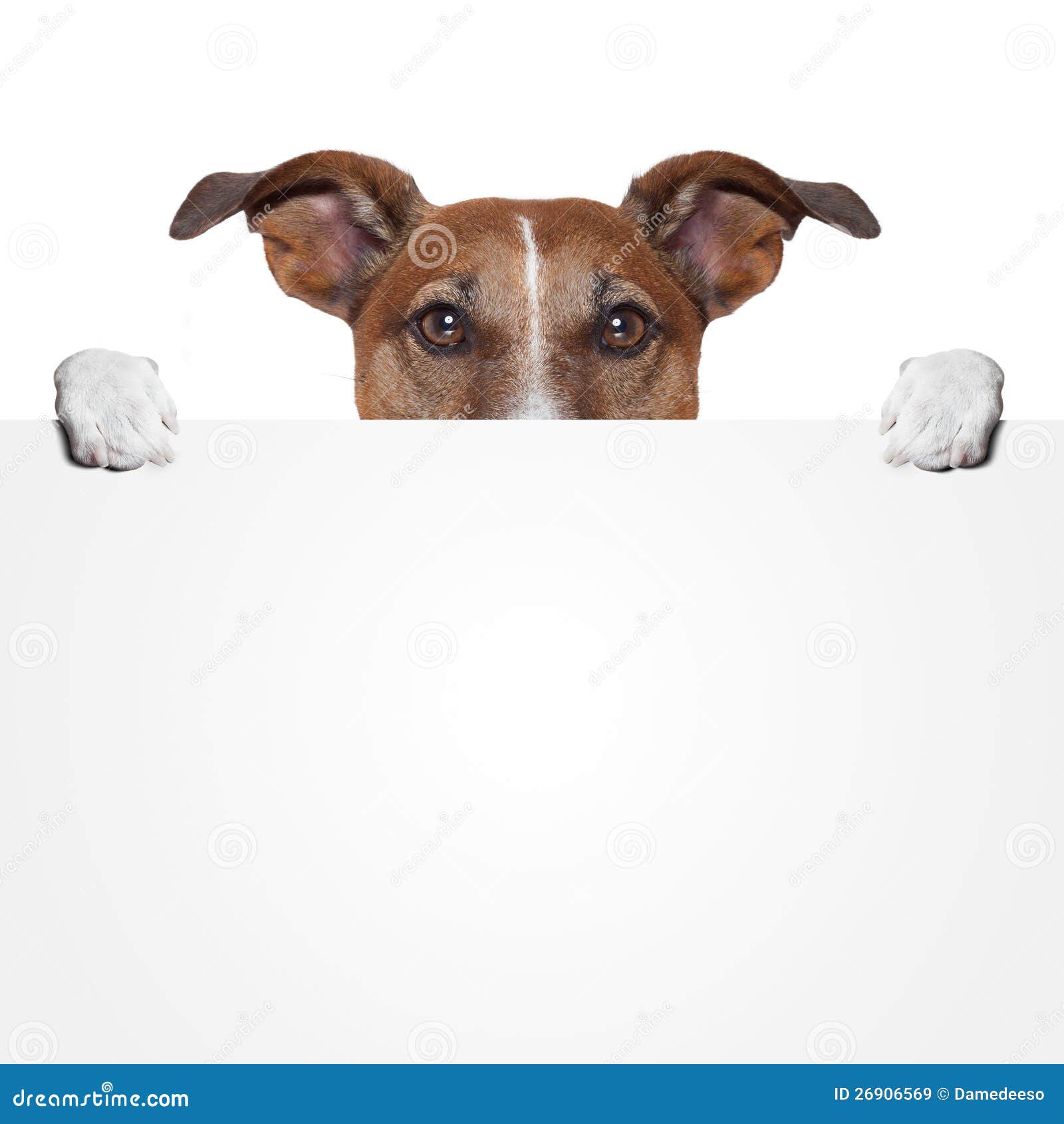 Placeholder banner dog stock image. Image of paste, decoration - 26906569