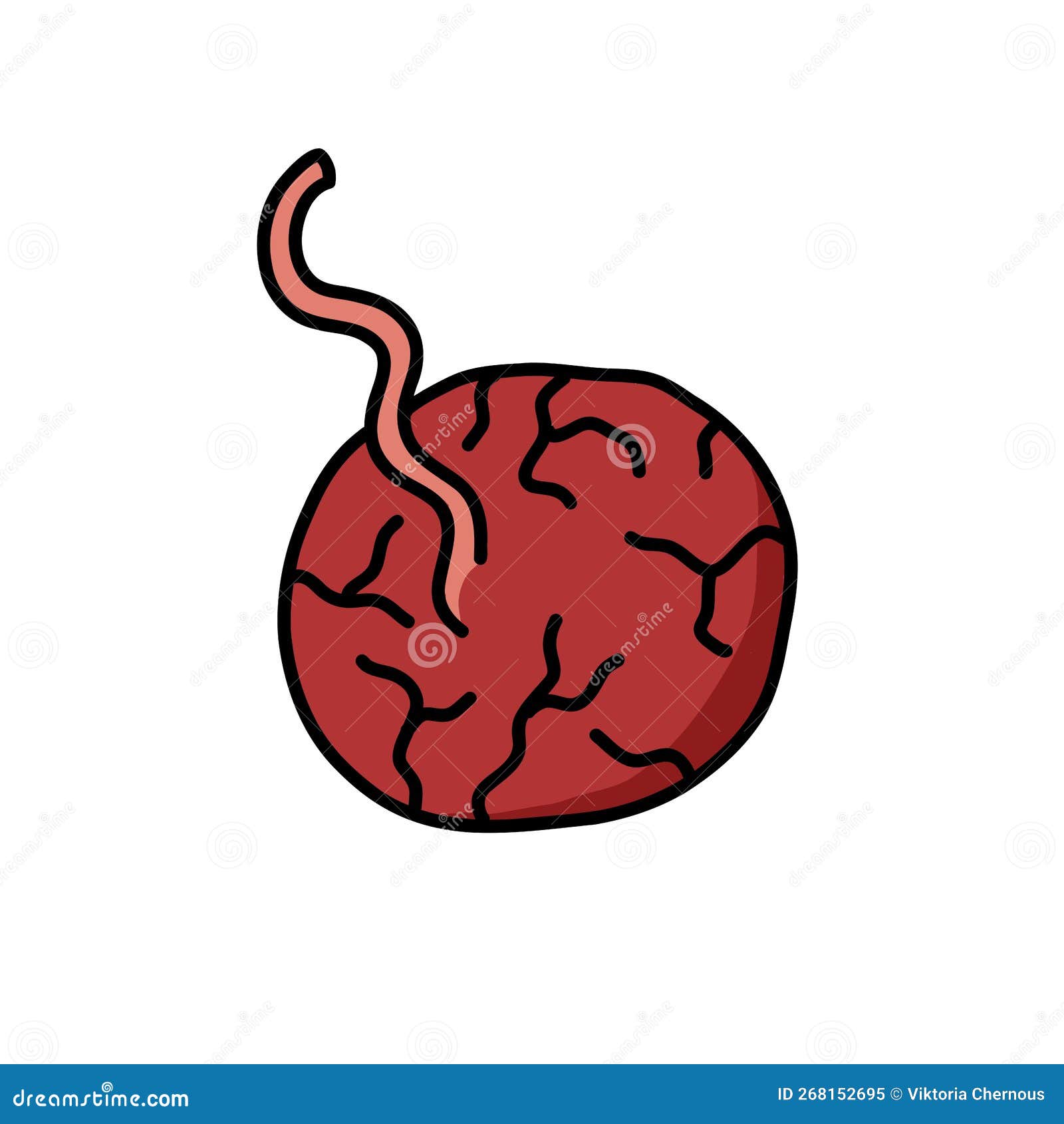 Placenta Doodle Icon, Vector Color Line Illustration Stock Vector ...