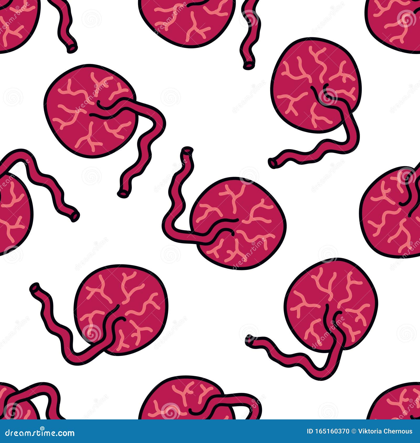 Placenta Seamless Doodle Pattern, Vector Illustration Stock ...