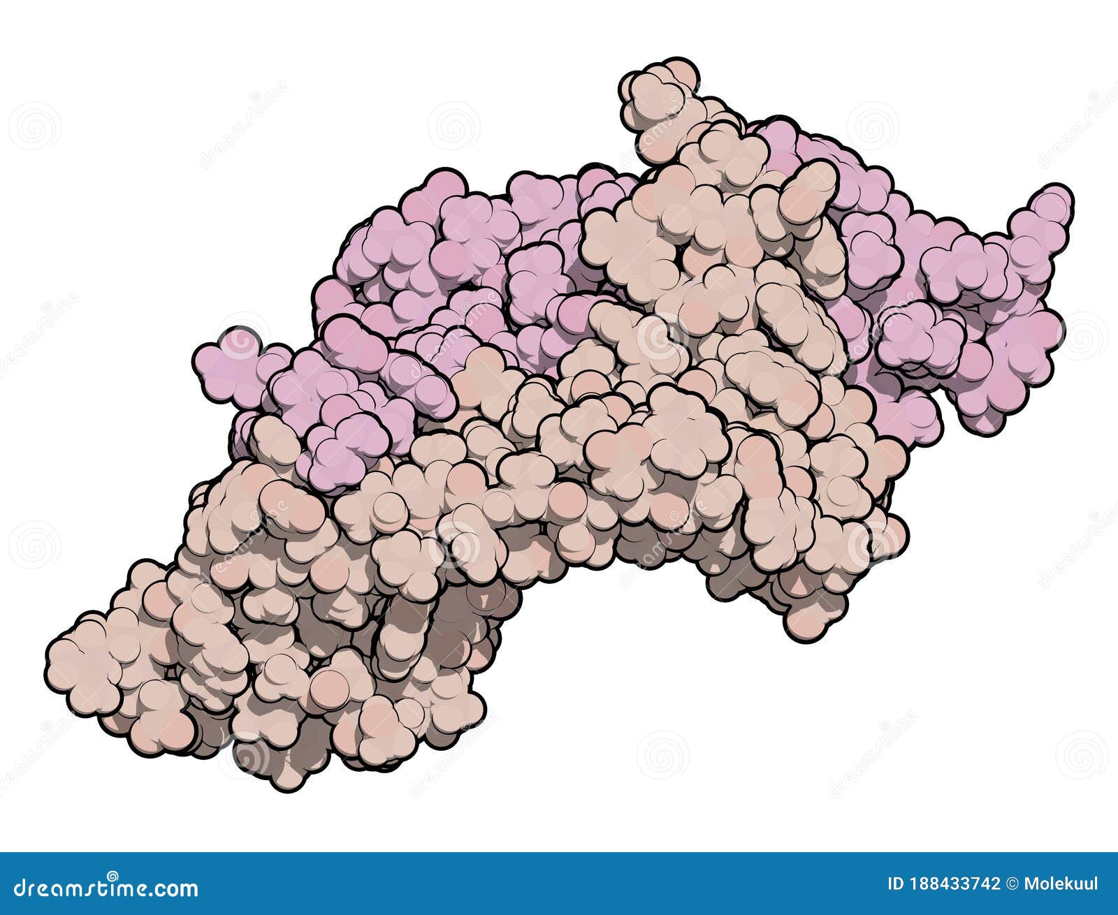 Placental Growth Factor (PlGF, Receptor Binding Domain) Protein. 3D ...