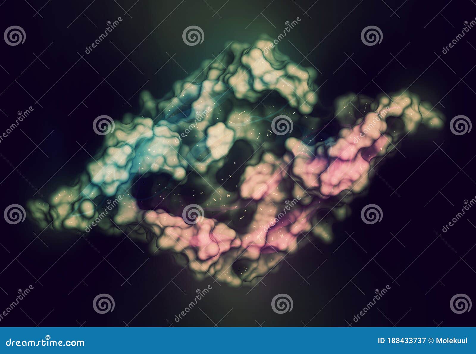 Placental Structure Vector | CartoonDealer.com #136081612