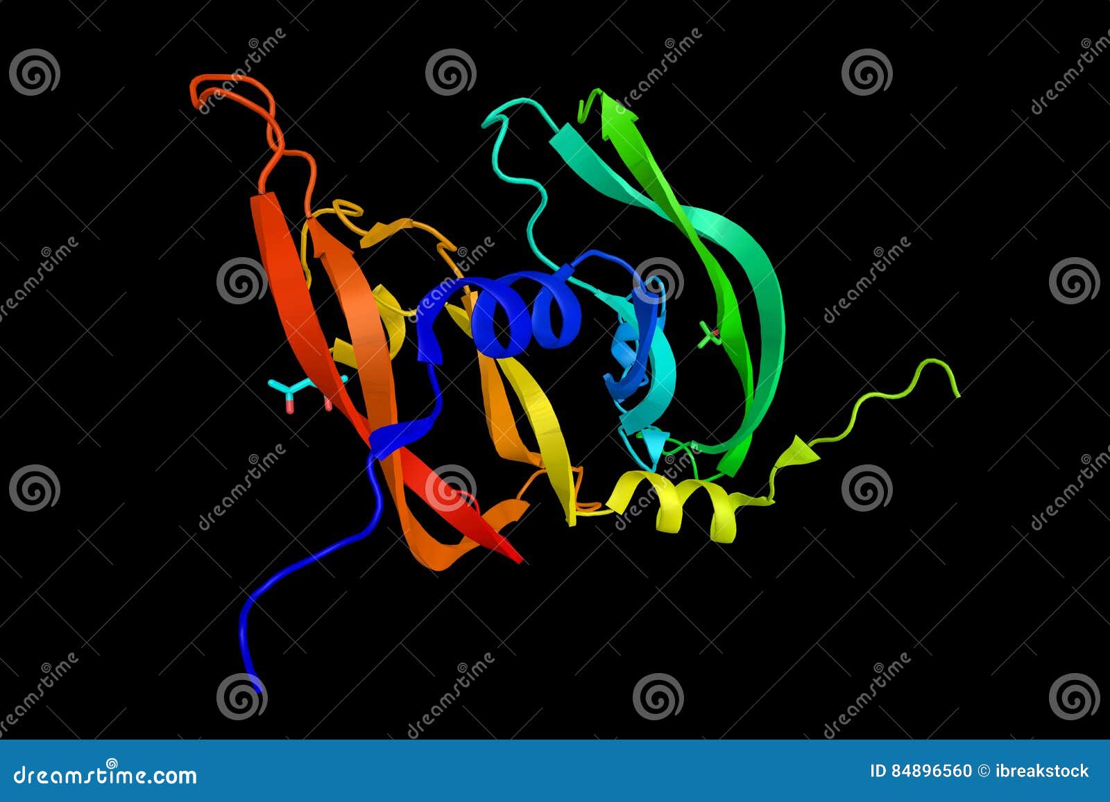 Placental Growth Factor, a Protein the Main Source of PGF during Stock ...