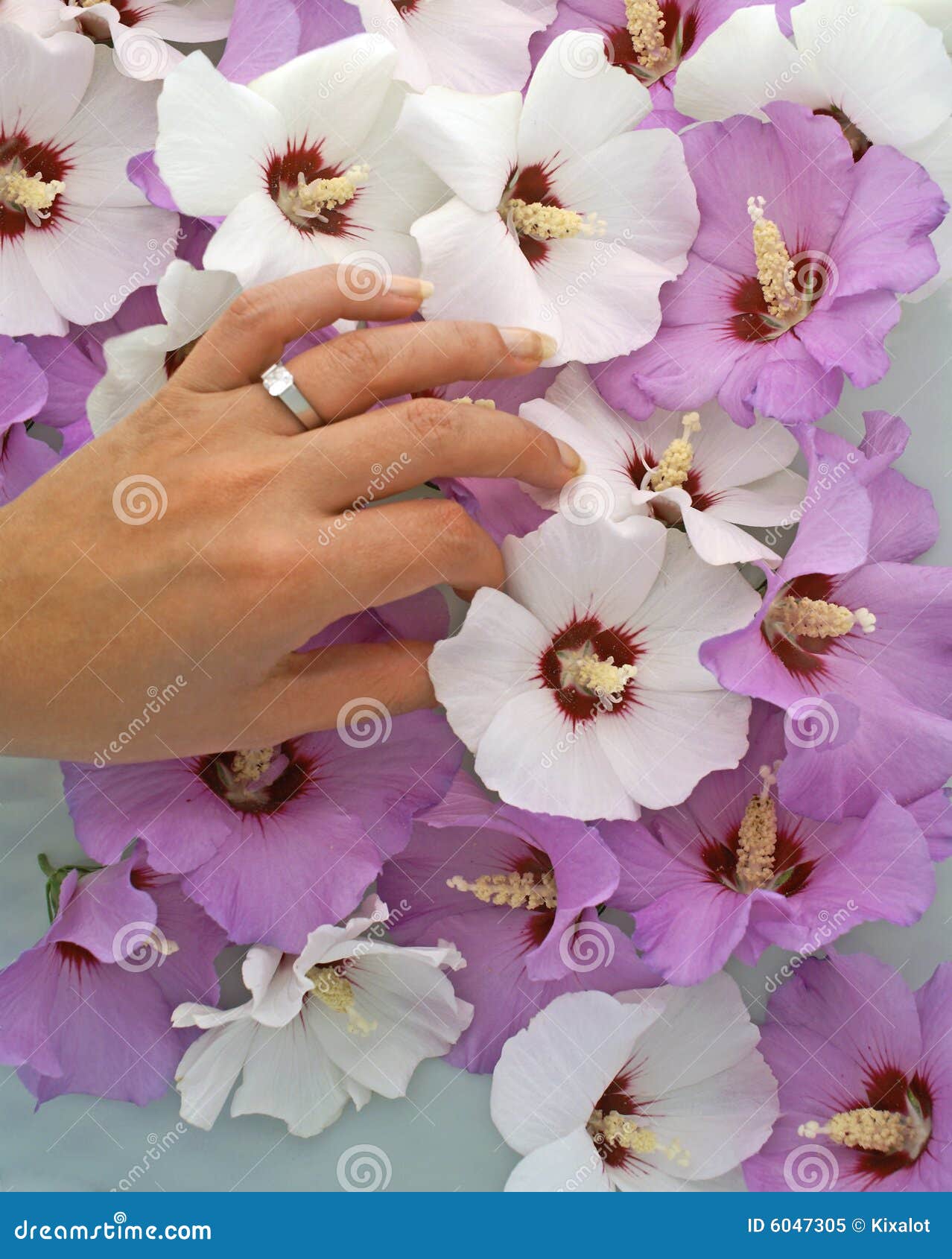 Placeres de acoplamiento 2 imagen de archivo. Imagen de prometido - 6047305