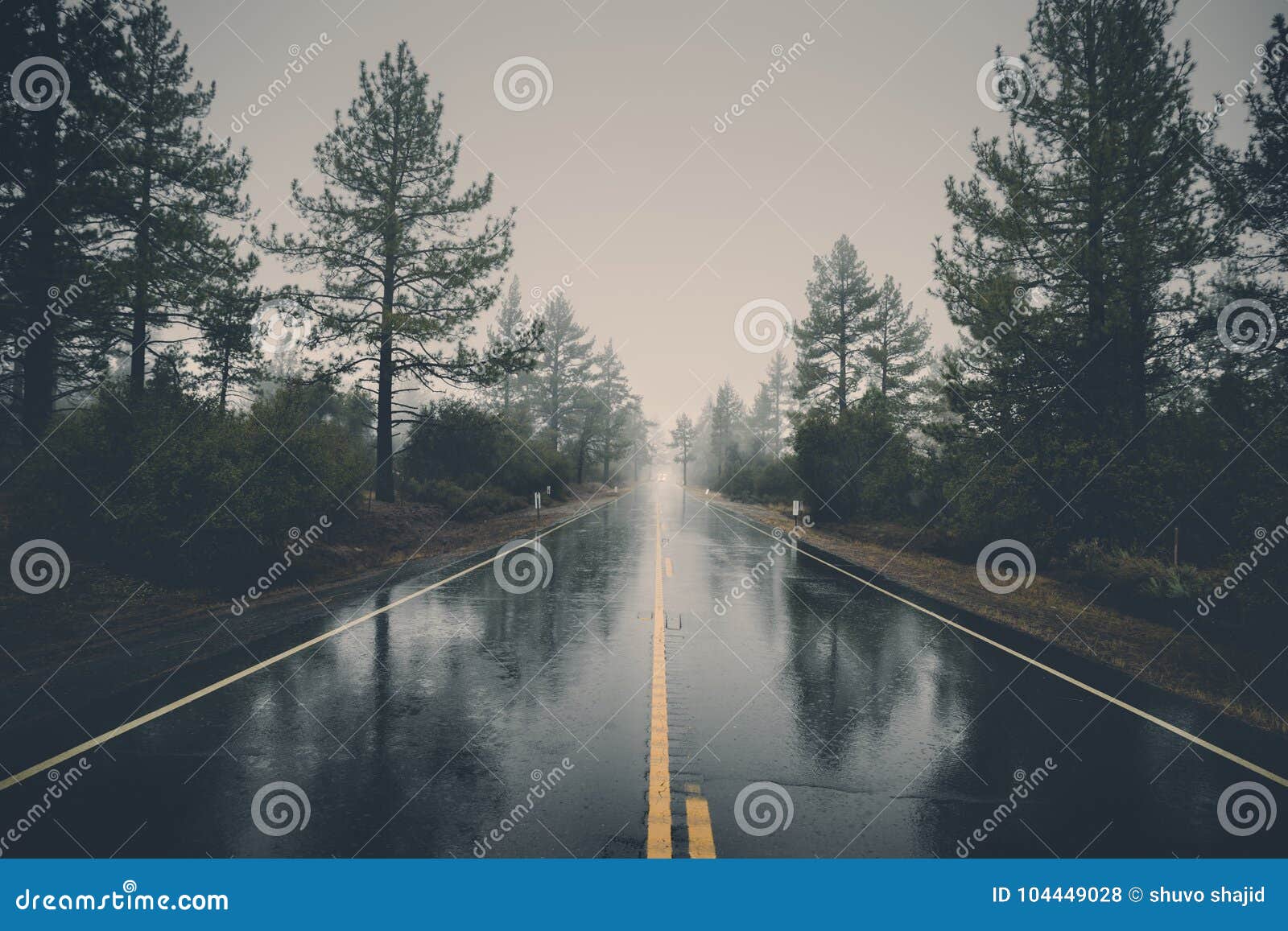 Weather stock photo. Image of places, peace, green, waether - 104449028