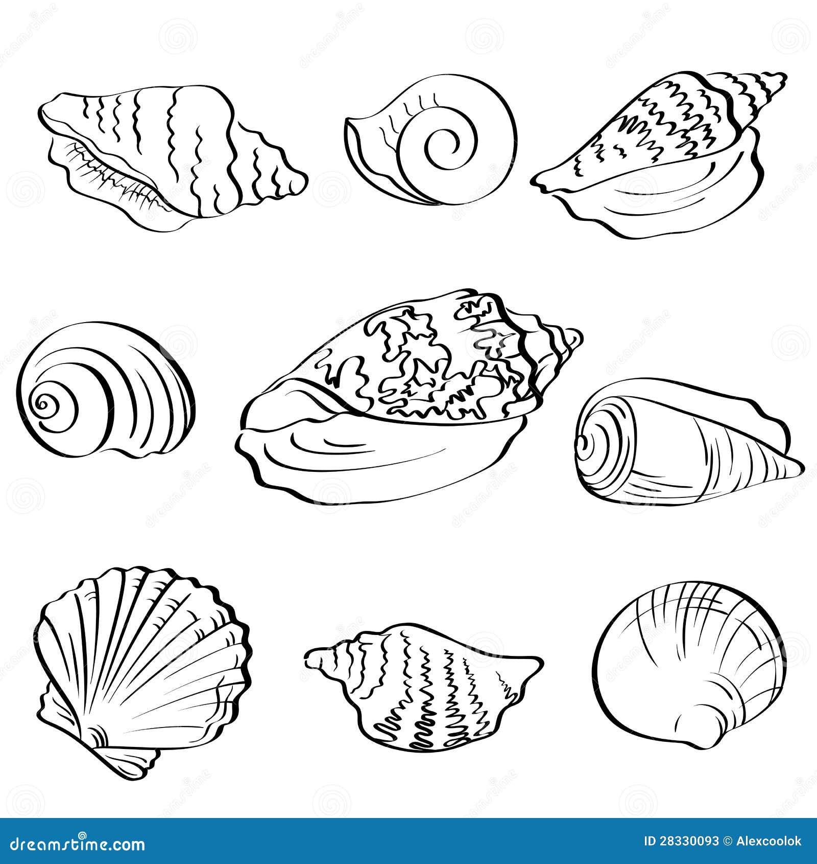Placez Les Coquillages, Contour Illustration de Vecteur - Illustration ...