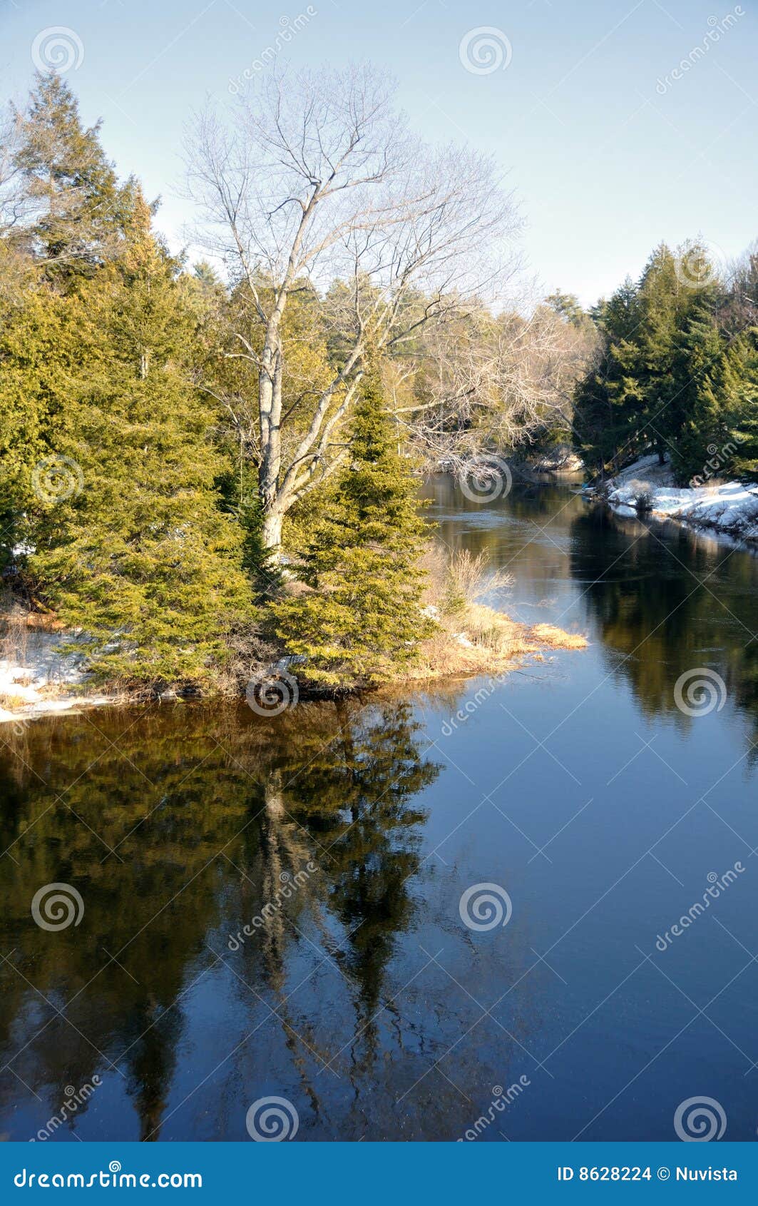 Placid River stock photo. Image of canada, water, reflection - 8628224