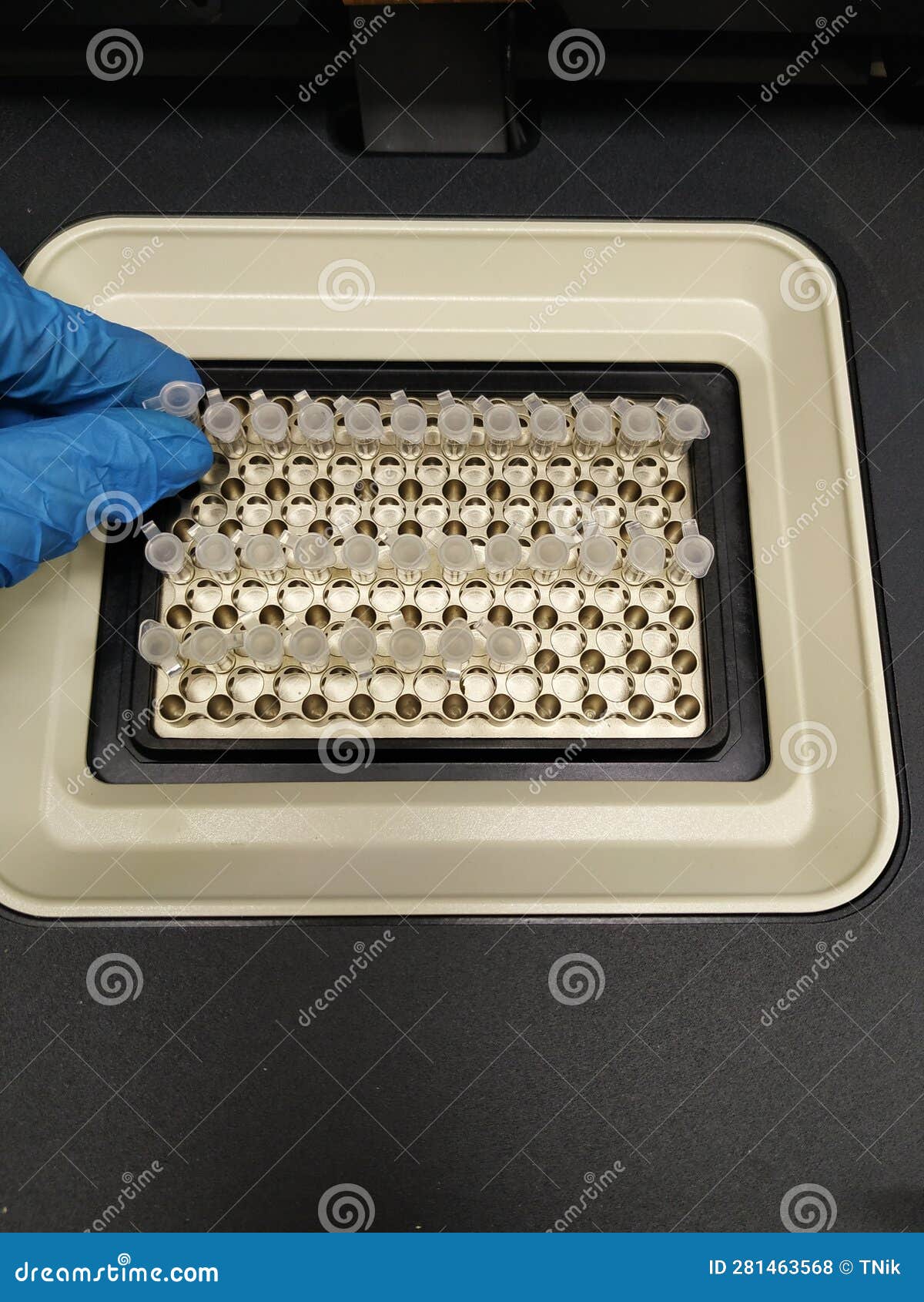 Placing Microtubes in the Cycler, PCR Analysis. Stock Photo - Image of ...