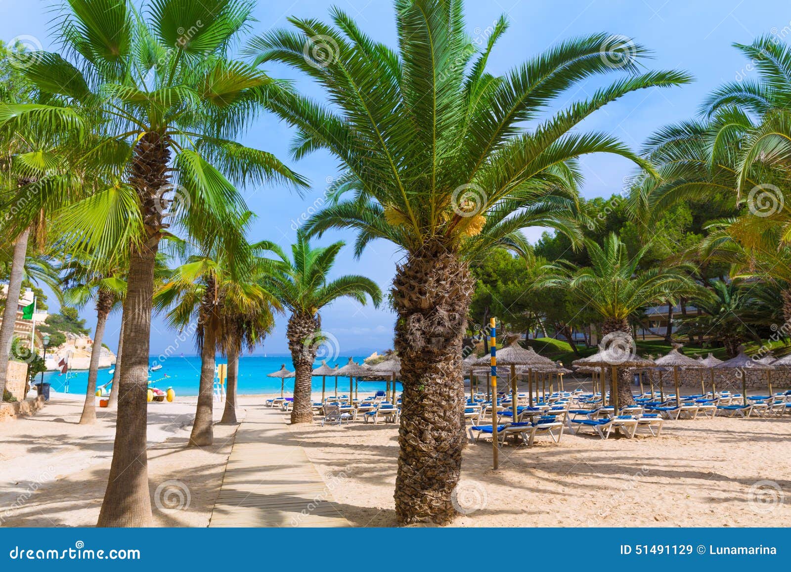 Plage Calvia Majorque De Majorque Cala Vinyes Vinas Image stock - Image ...