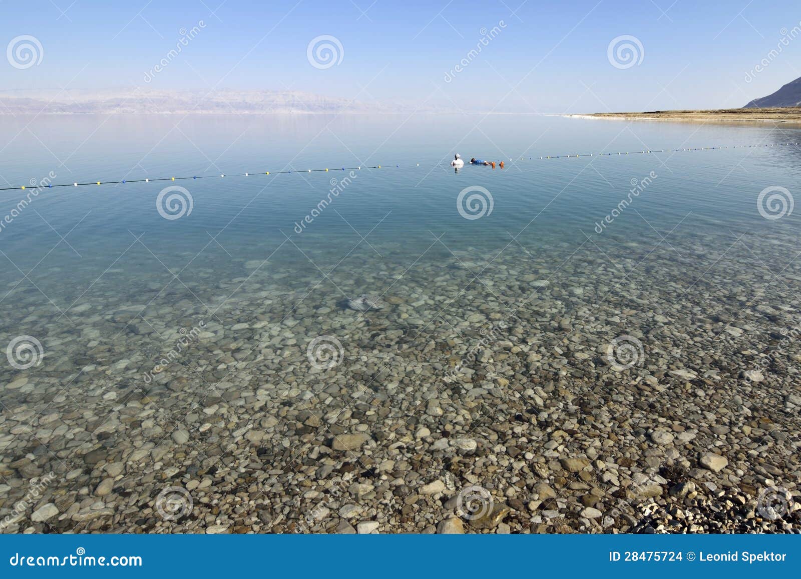 Plage de mer morte. photo stock. Image du transparence - 28475724