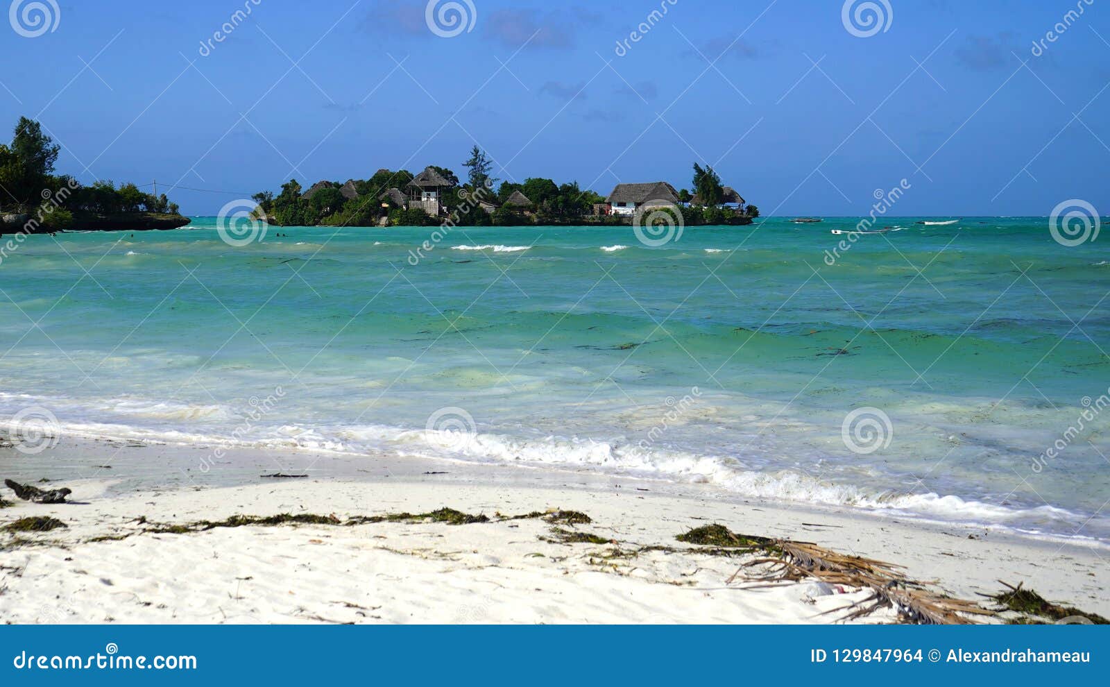 Plage de Pongwe, Zanzibar photo stock. Image du sable - 129847964