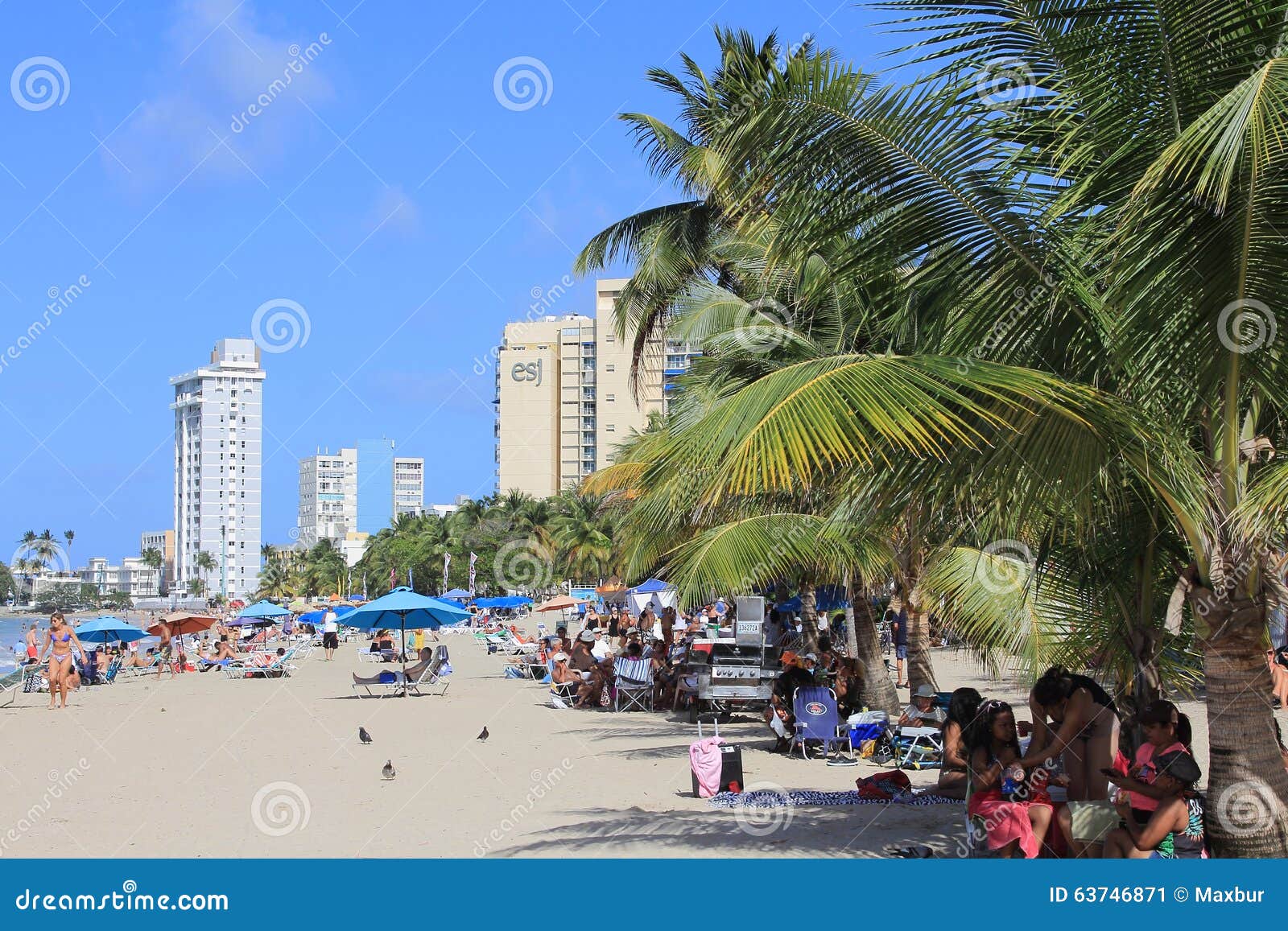 PLAGE DE SAN JUAN PORTO RICO Photo éditorial - Image du paume, océan ...