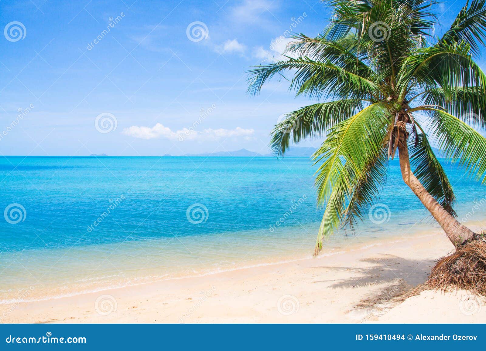 Plage et cocotier photo stock. Image du paix, côte, extérieur - 159410494