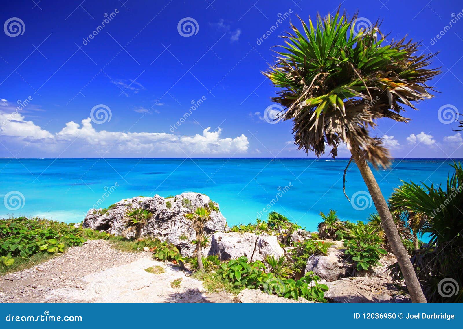Plage Mexique de Tulum photo stock. Image of plage, tropical - 12036950