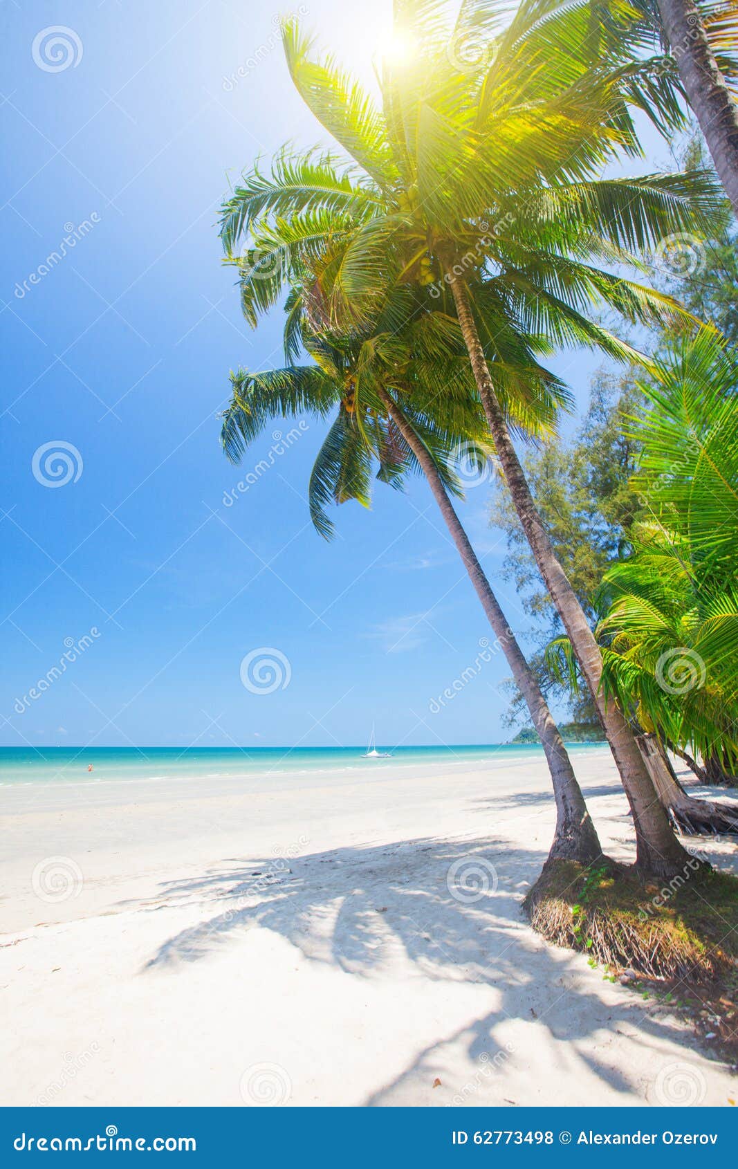 Plage Tropicale Avec Le Cocotier Et La Mer Photo stock - Image du beau ...