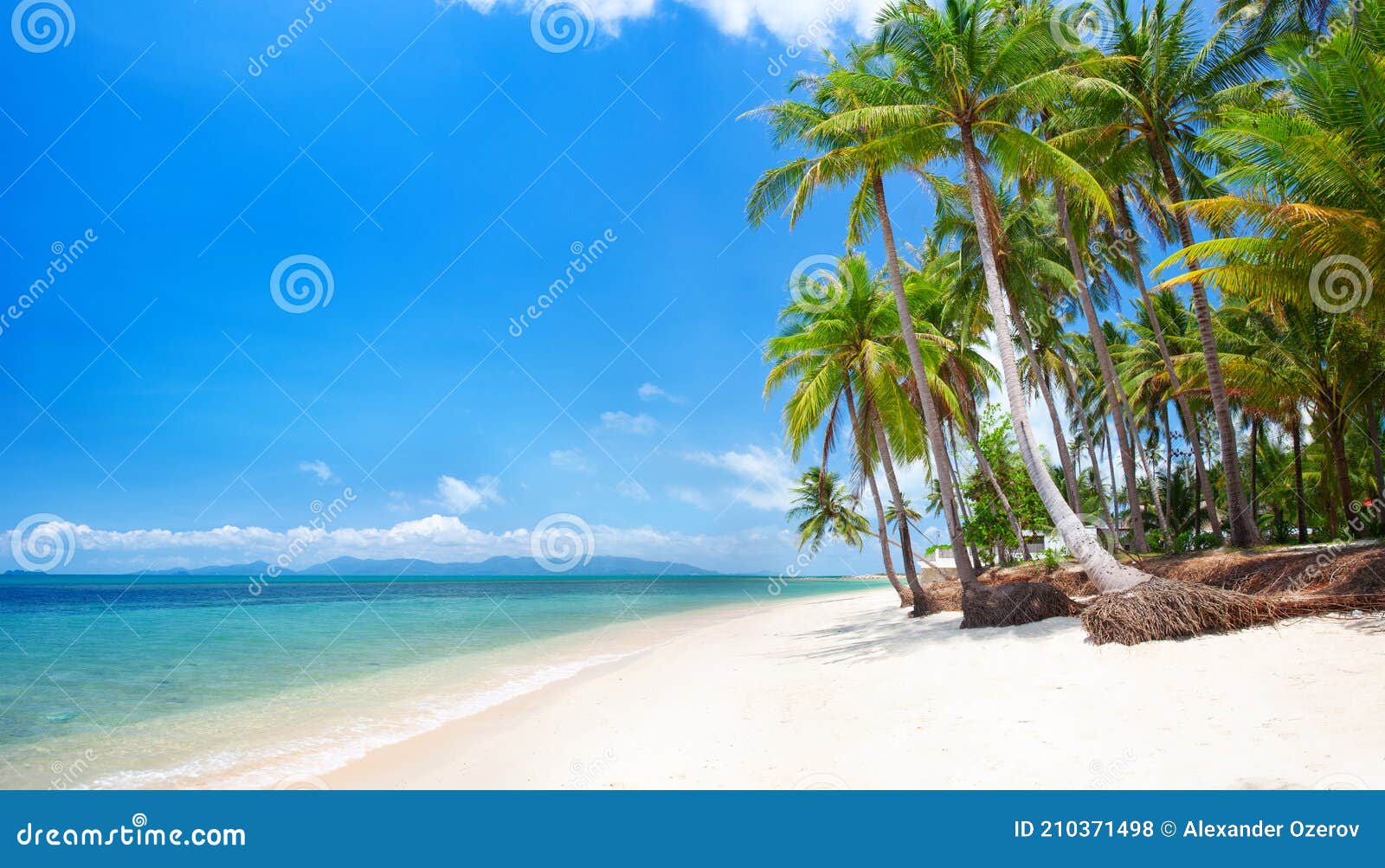 Plage Tropicale Panoramique Avec Cocotier Photo stock - Image du ciel ...