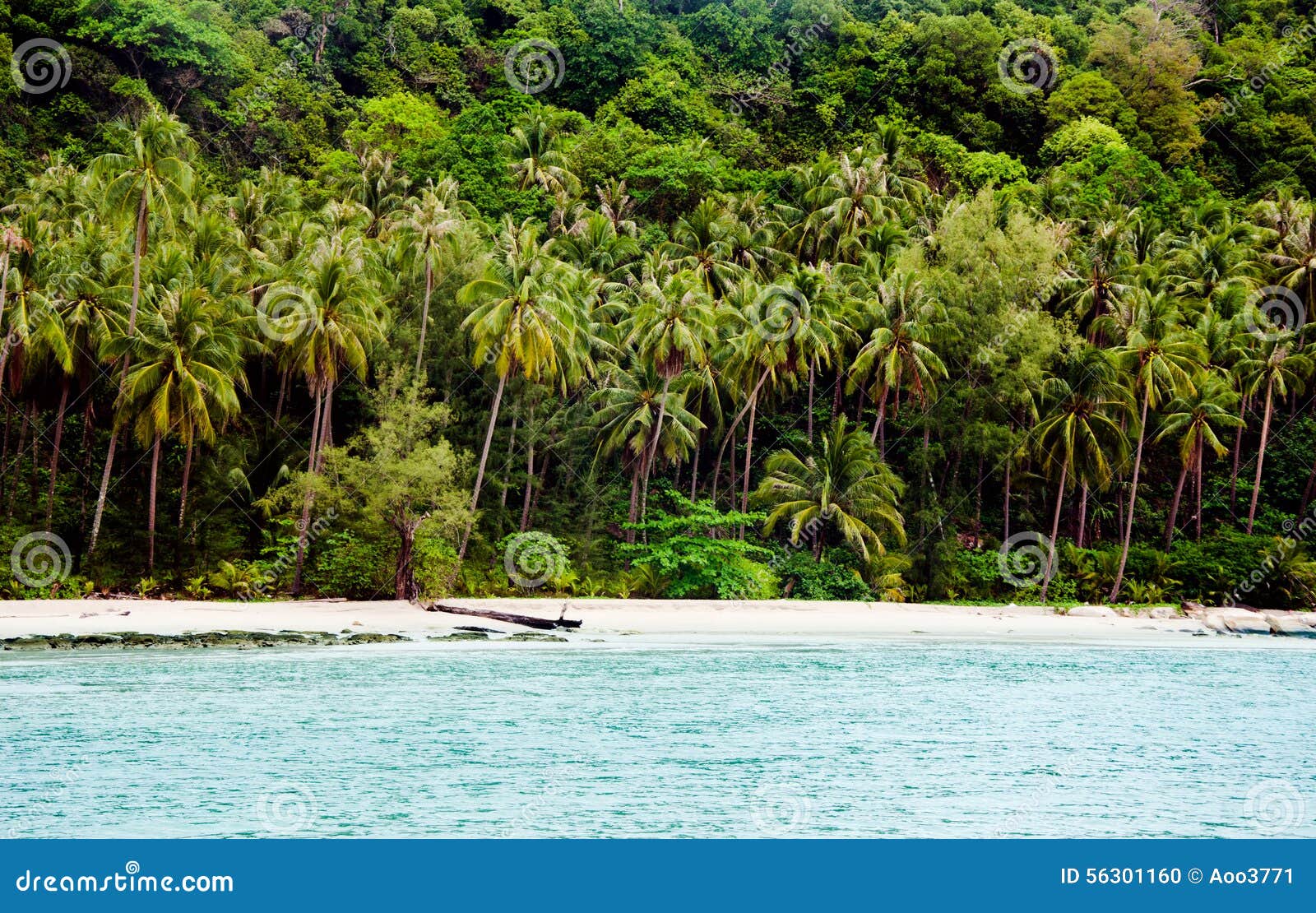 Plages de mer photo stock. Image du ressource, plage - 56301160