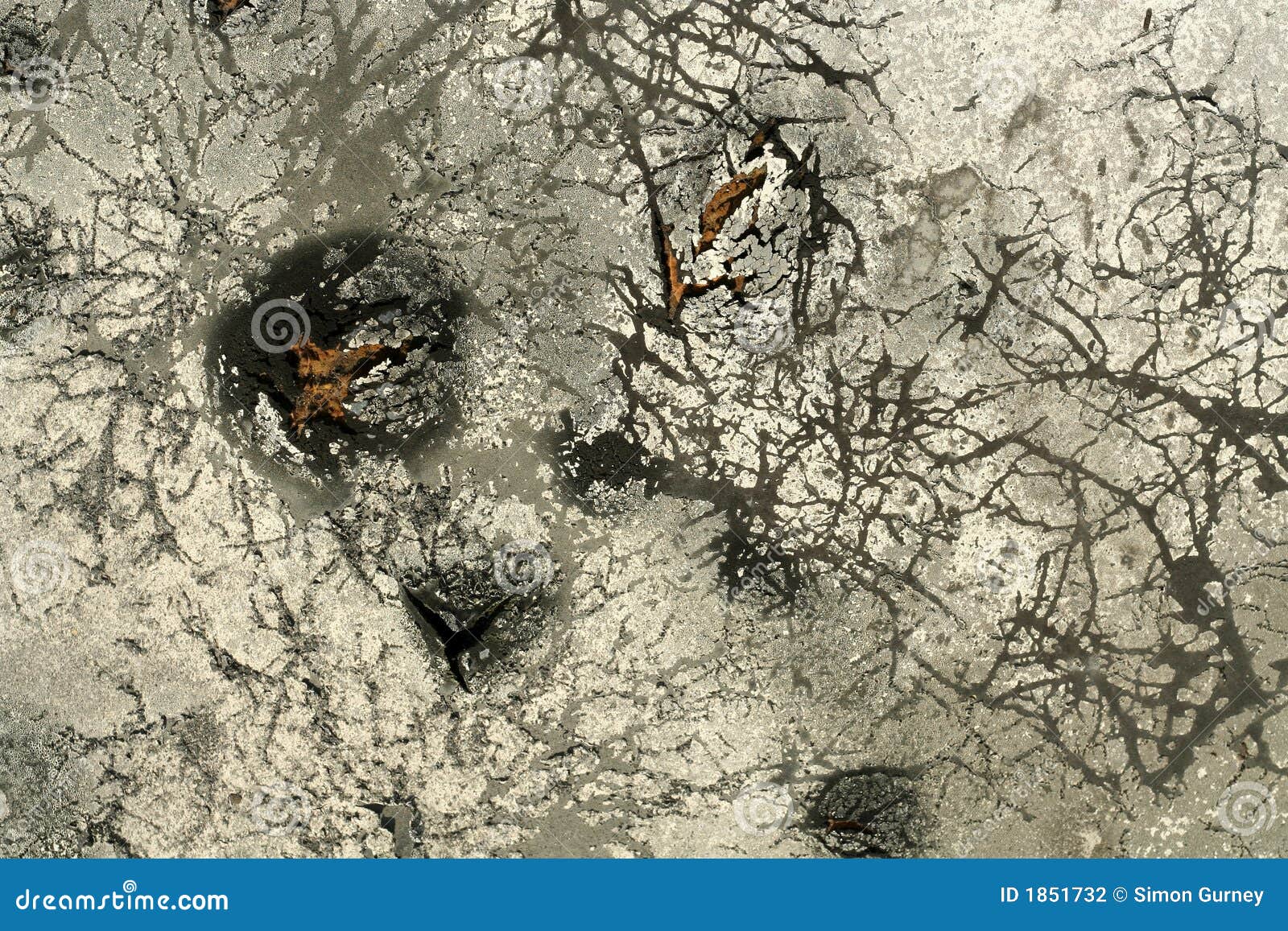 Plague Of Pestilence