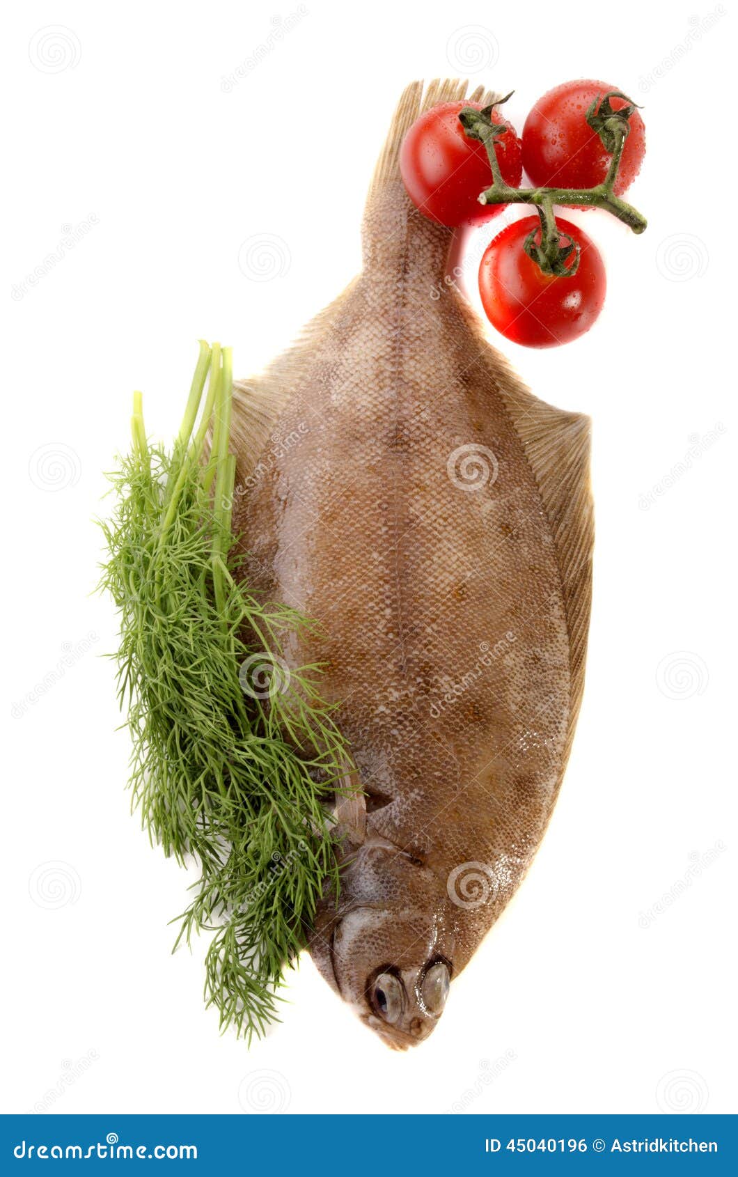 Plaice with Dill and Tomato Stock Photo - Image of fresh, animal: 45040196