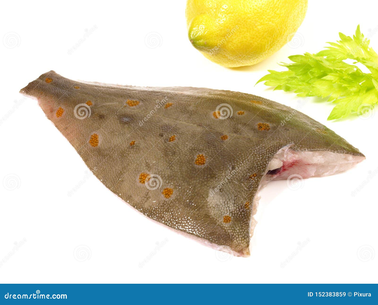 Plaice Fish on White - Ready for Cooking Stock Image - Image of ...