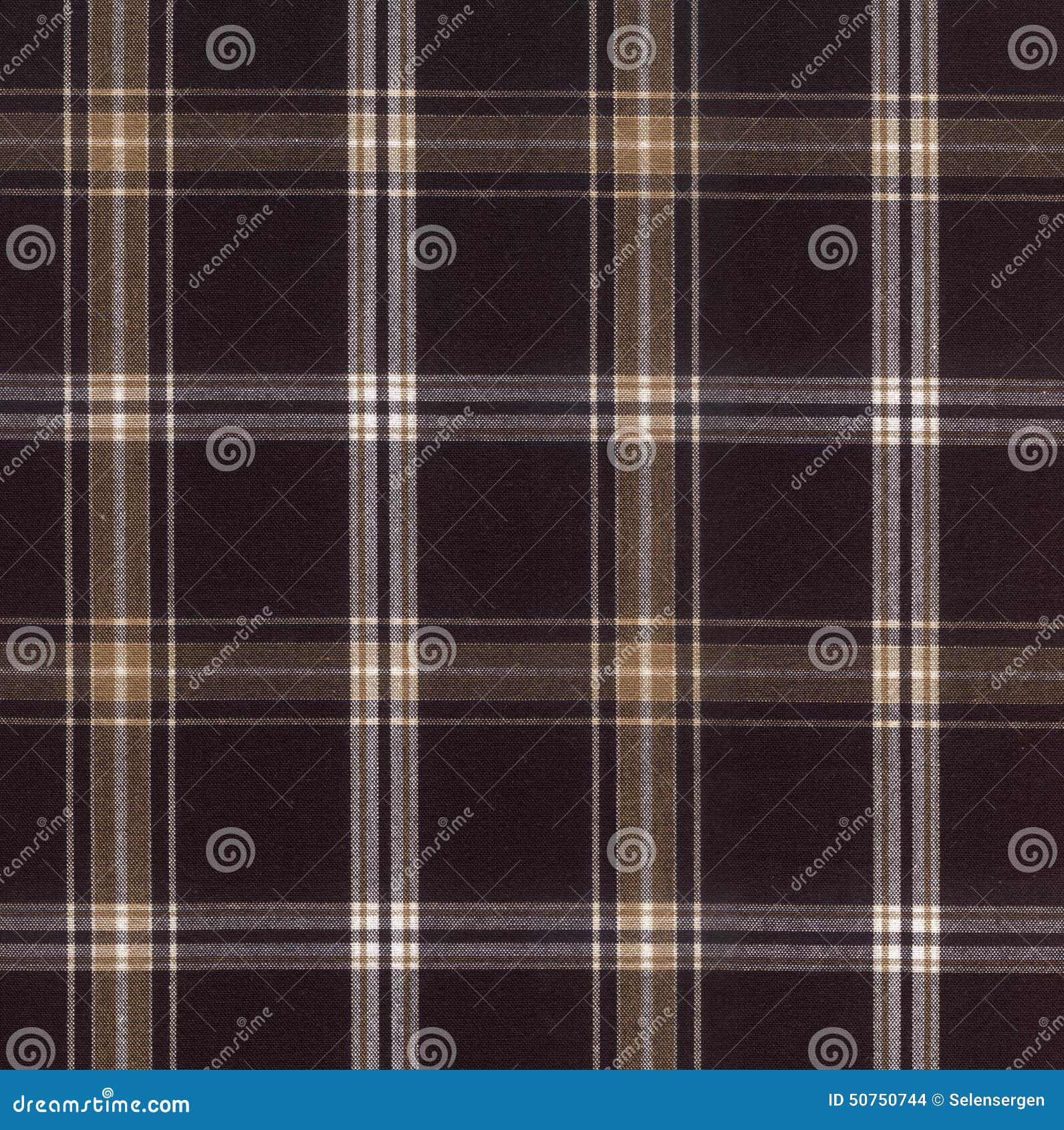 Plaid Fabric Texture stock photo. Image of traditional - 50750744