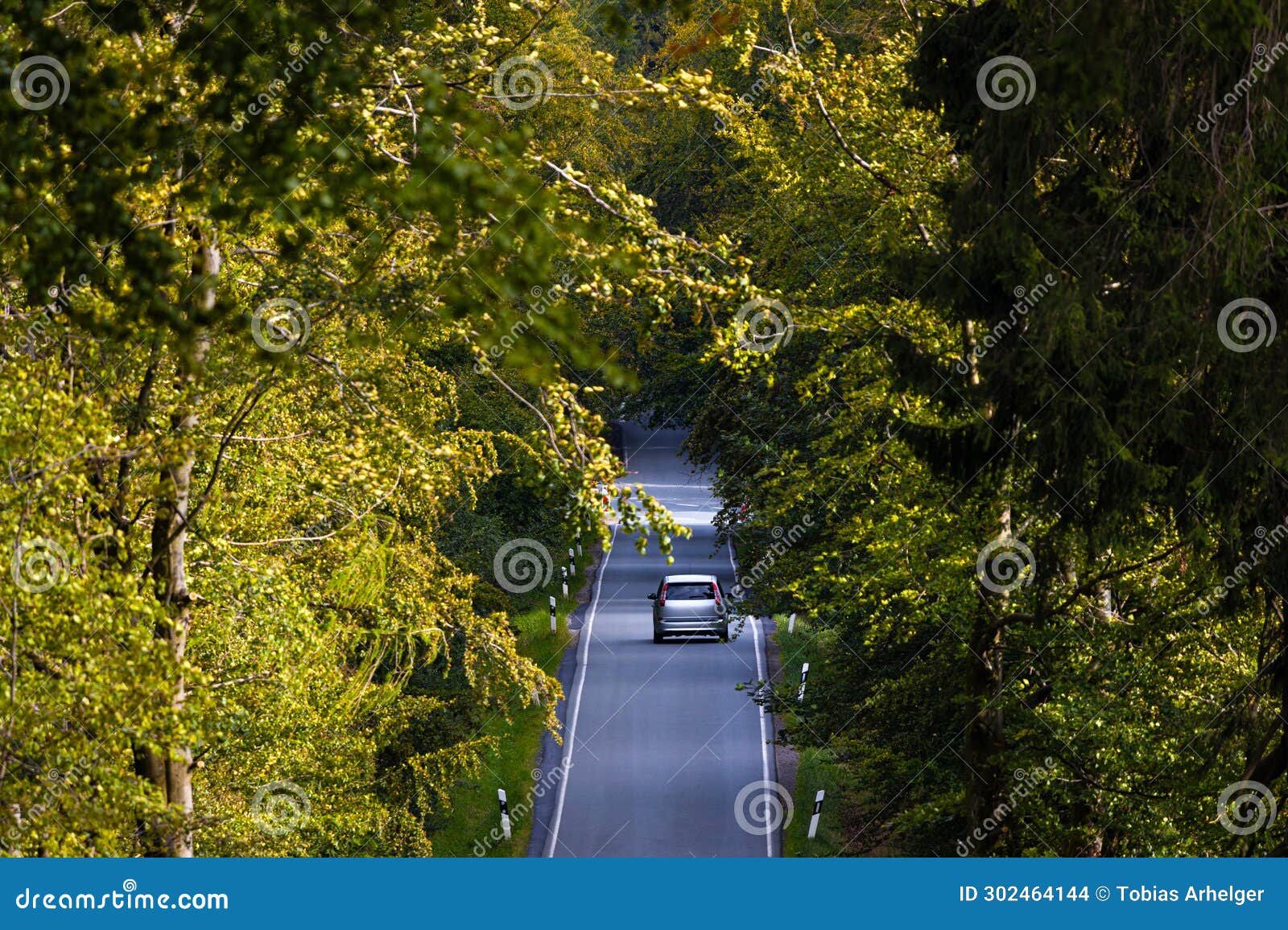 Plain car on a forest road stock photo. Image of driver - 302464144