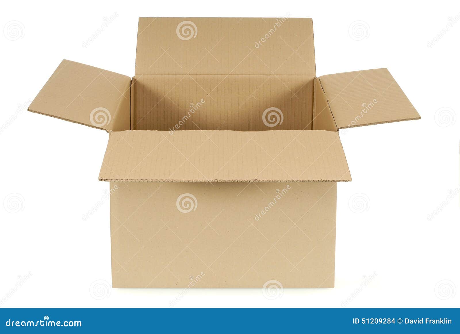 Open Cardboard Box Side View
