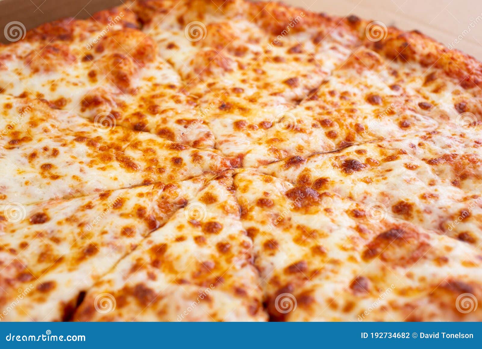 Plain cheese pizza stock photo. Image of menu, lifestyle - 192734682