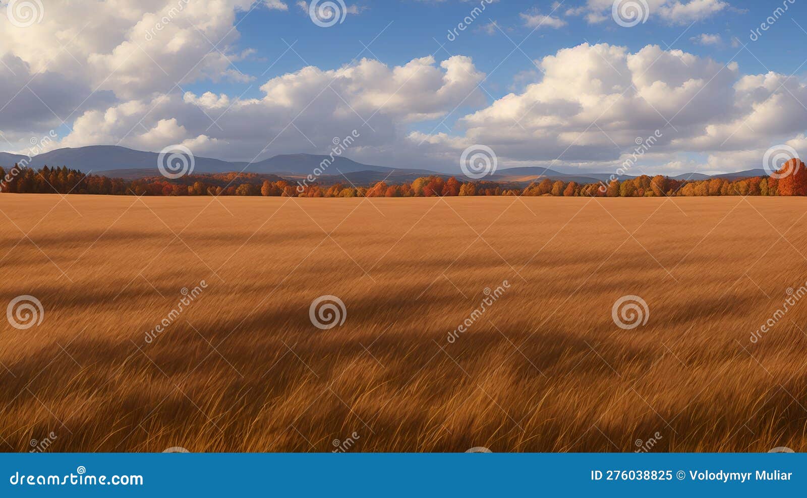 A Plain Covered with Tall, Dense Grass in the Fall. Blue Sky with White ...