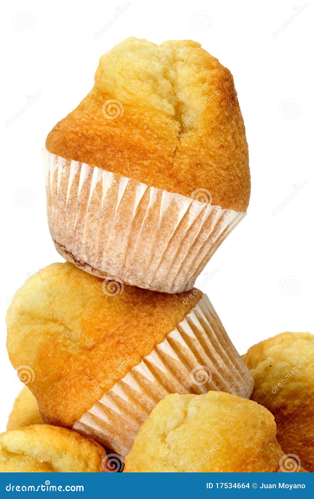 Plain cupcakes stock photo. Image of biscuit, baked, sugar - 17534664
