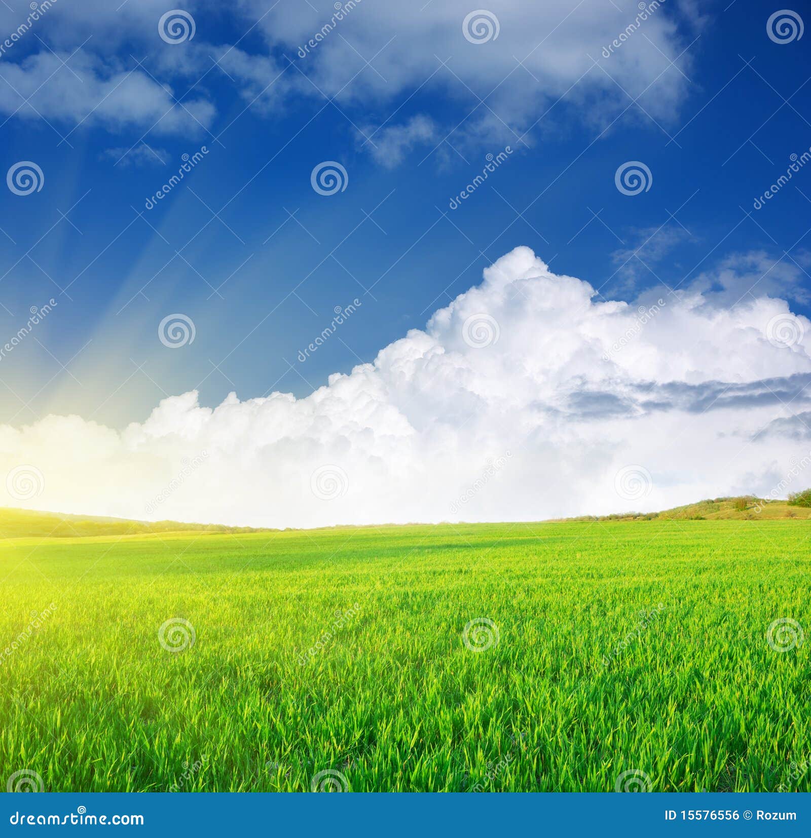 Plain and deep blue sky stock photo. Image of green, blue - 15576556