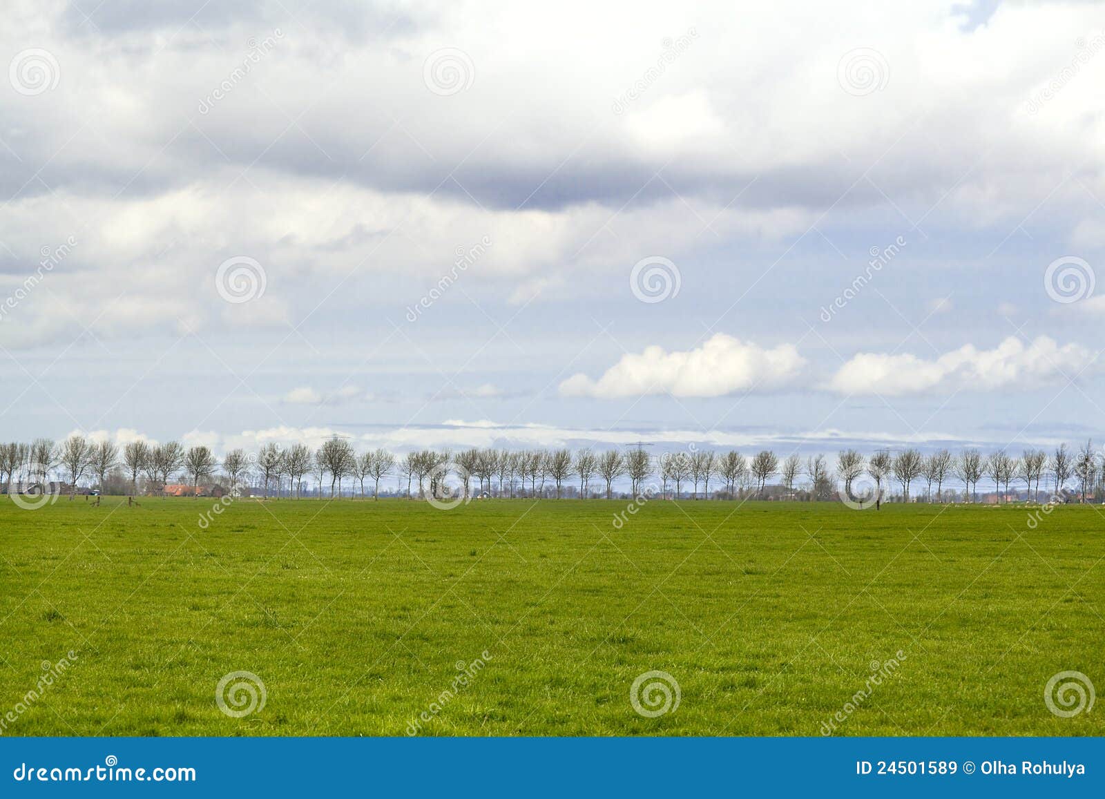 Plain Dutch landscape stock image. Image of tree, simplicity - 24501589