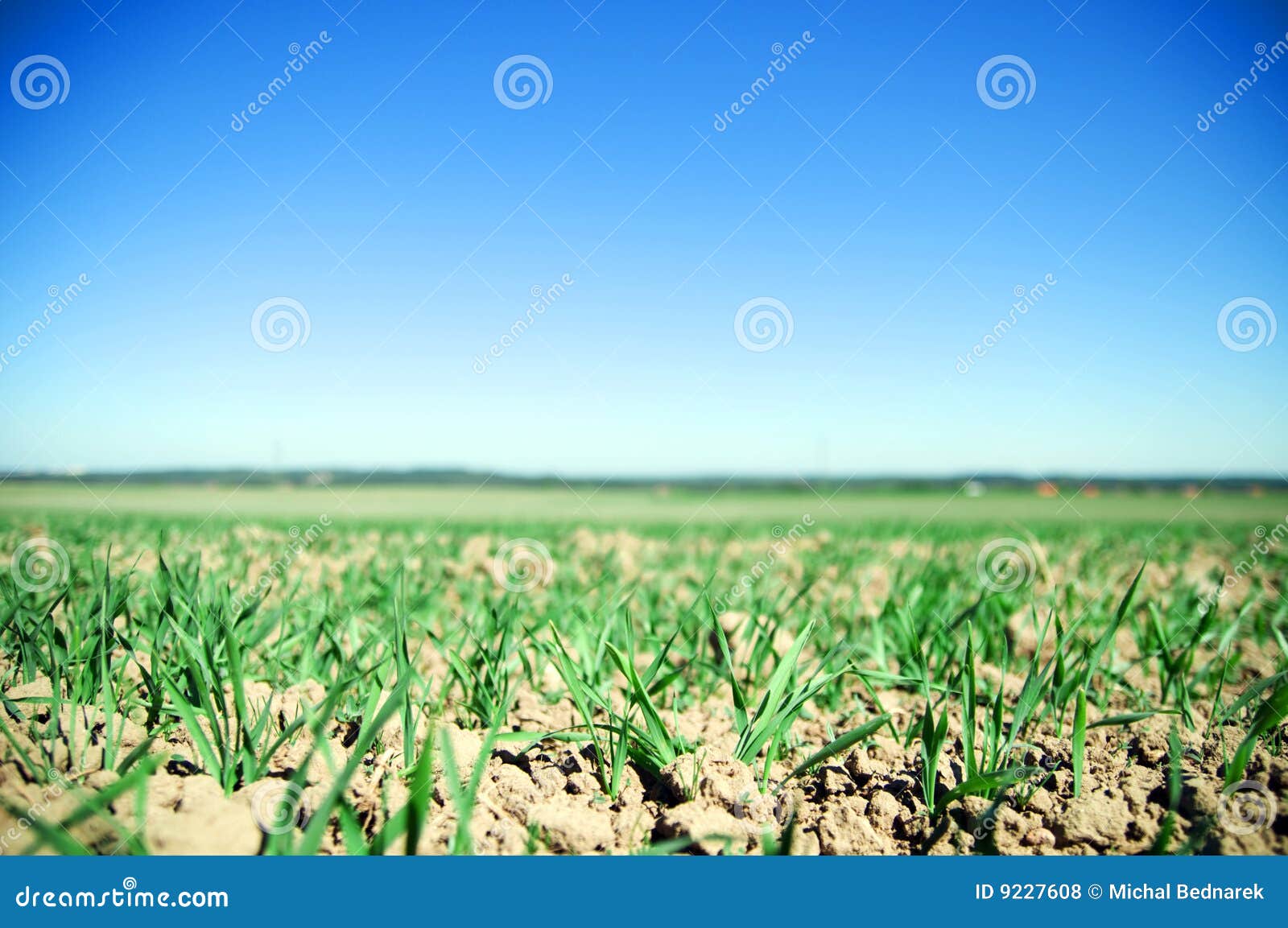 Plain field lanscape stock photo. Image of agriculture - 9227608