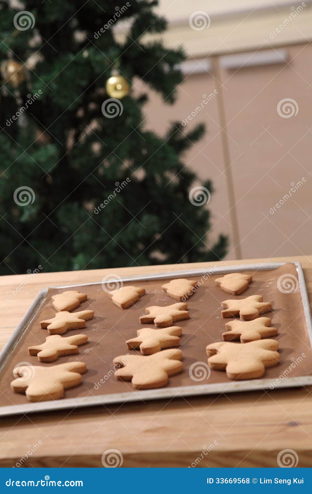 Plain gingerbread man stock photo. Image of tray, activity - 33669568