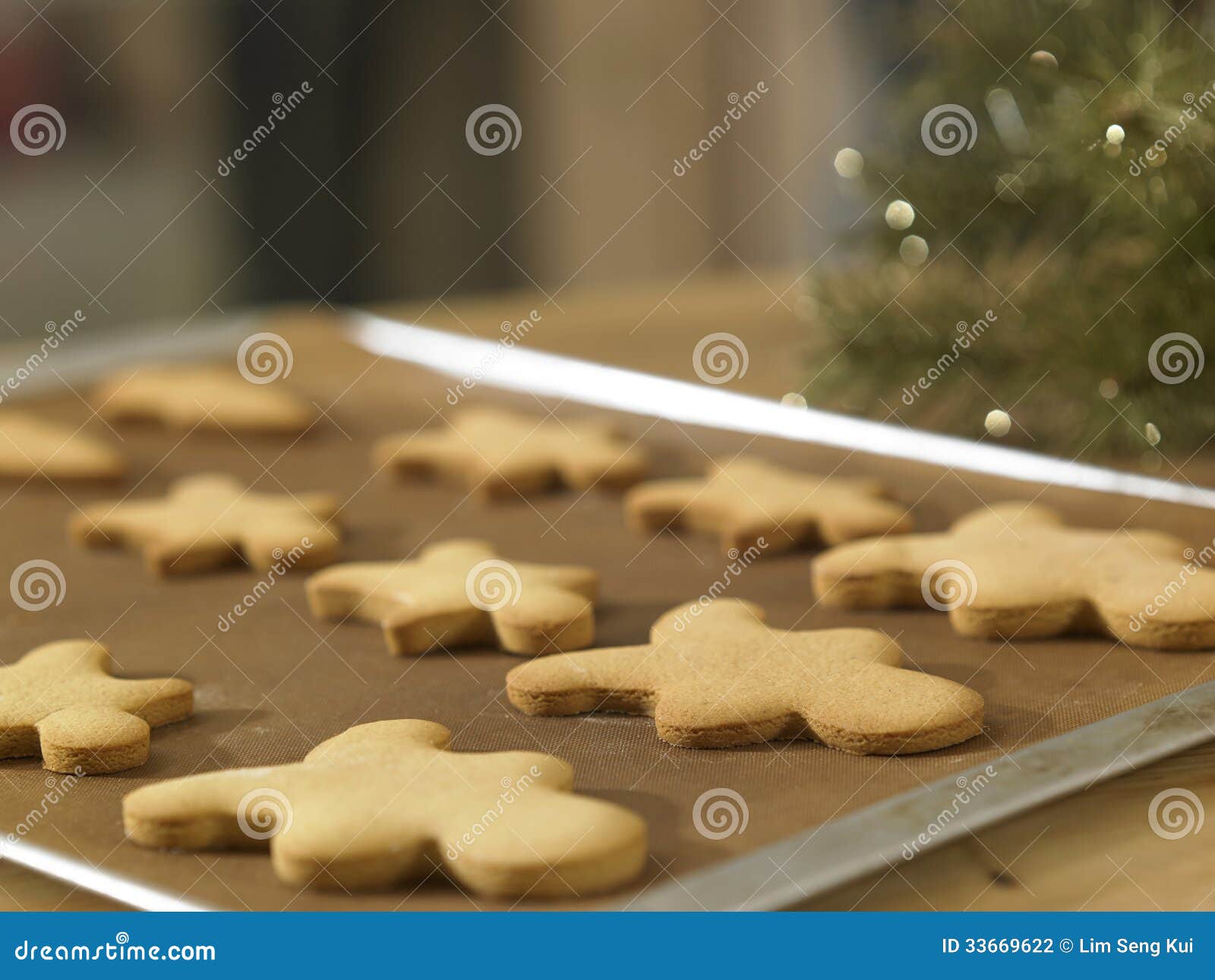 Plain gingerbread man stock photo. Image of culinary - 33669622