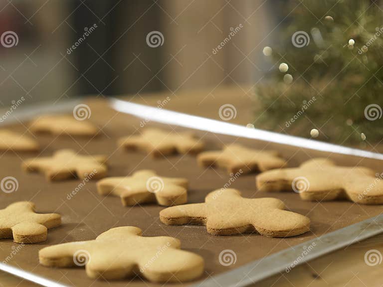 Plain gingerbread man stock photo. Image of culinary - 33669622