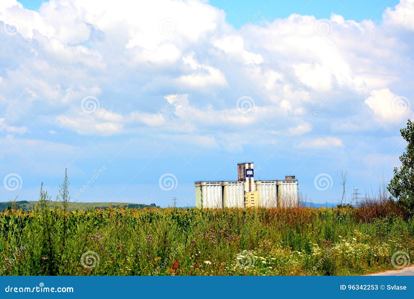 Plain with Grains in the Harvesting Time. Grain Silo Editorial Stock ...