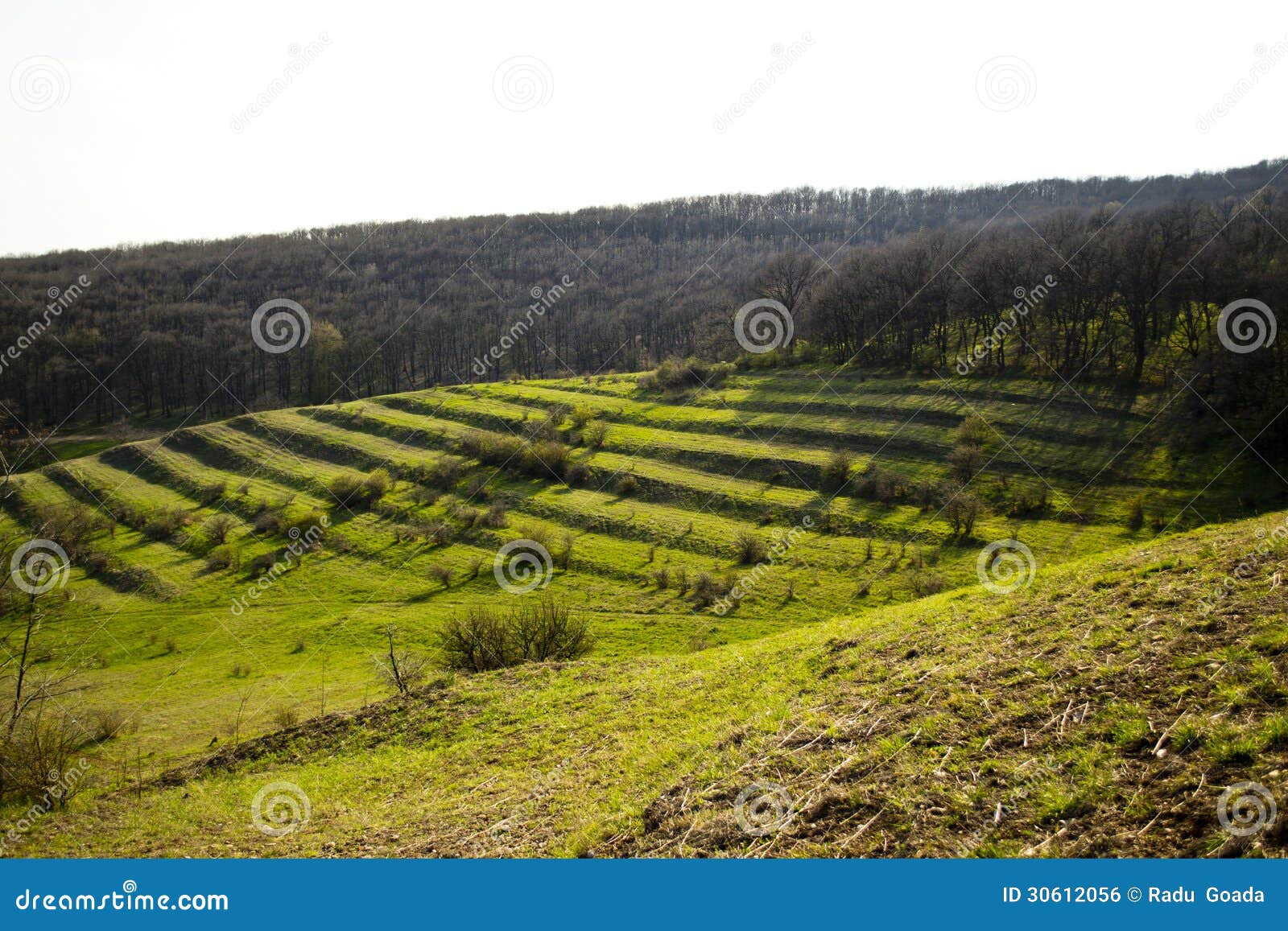Plain landscape stock photo. Image of scenery, plains - 30612056
