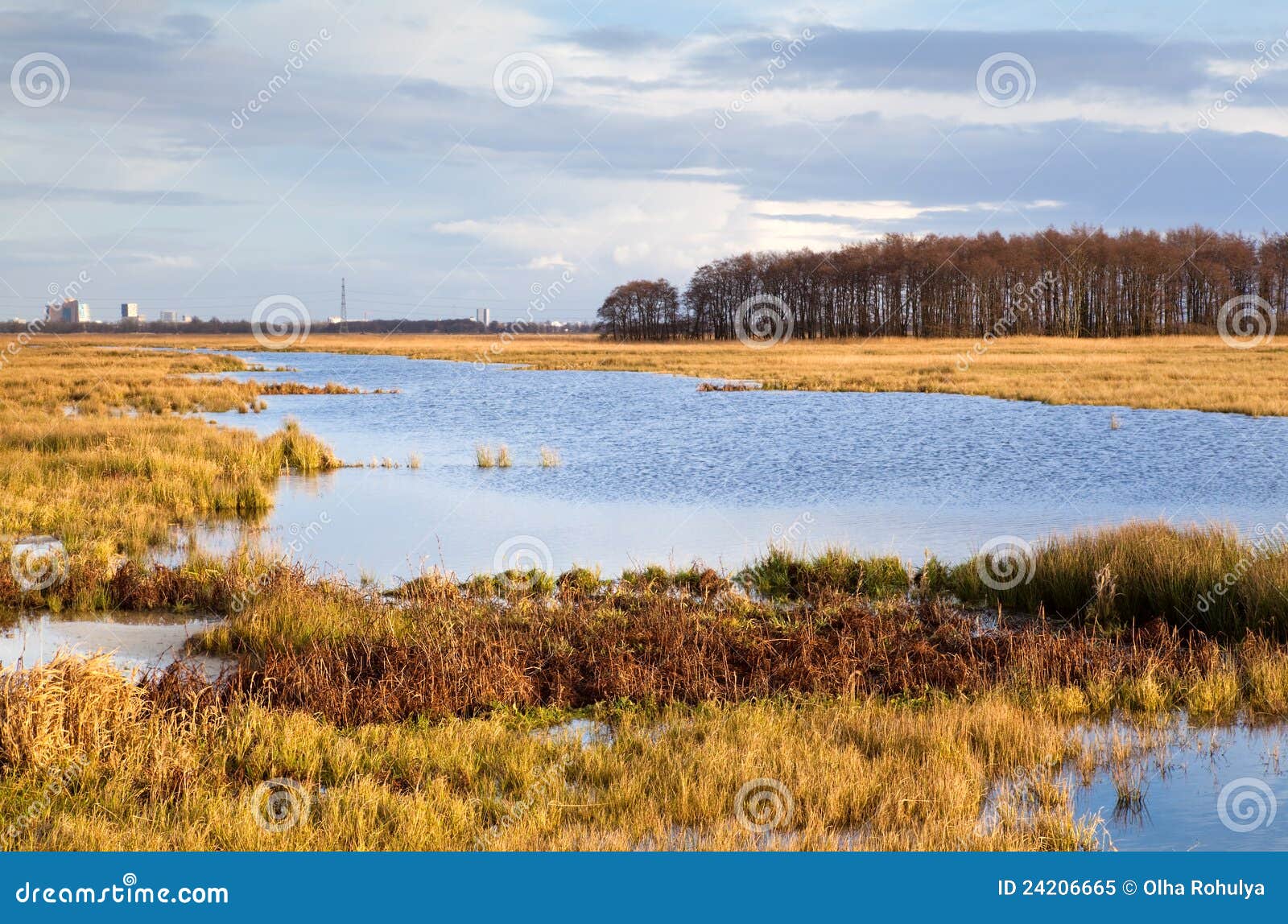 Plain landscape with water stock image. Image of reflection - 24206665