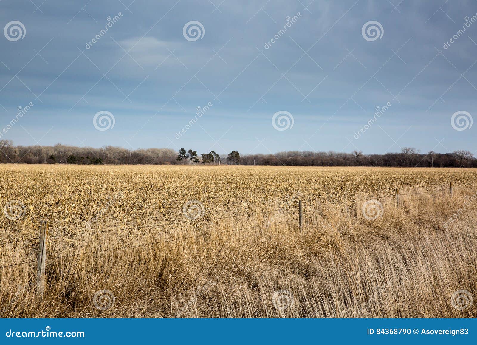 Plain of Nebraska stock photo. Image of harvested, field - 84368790